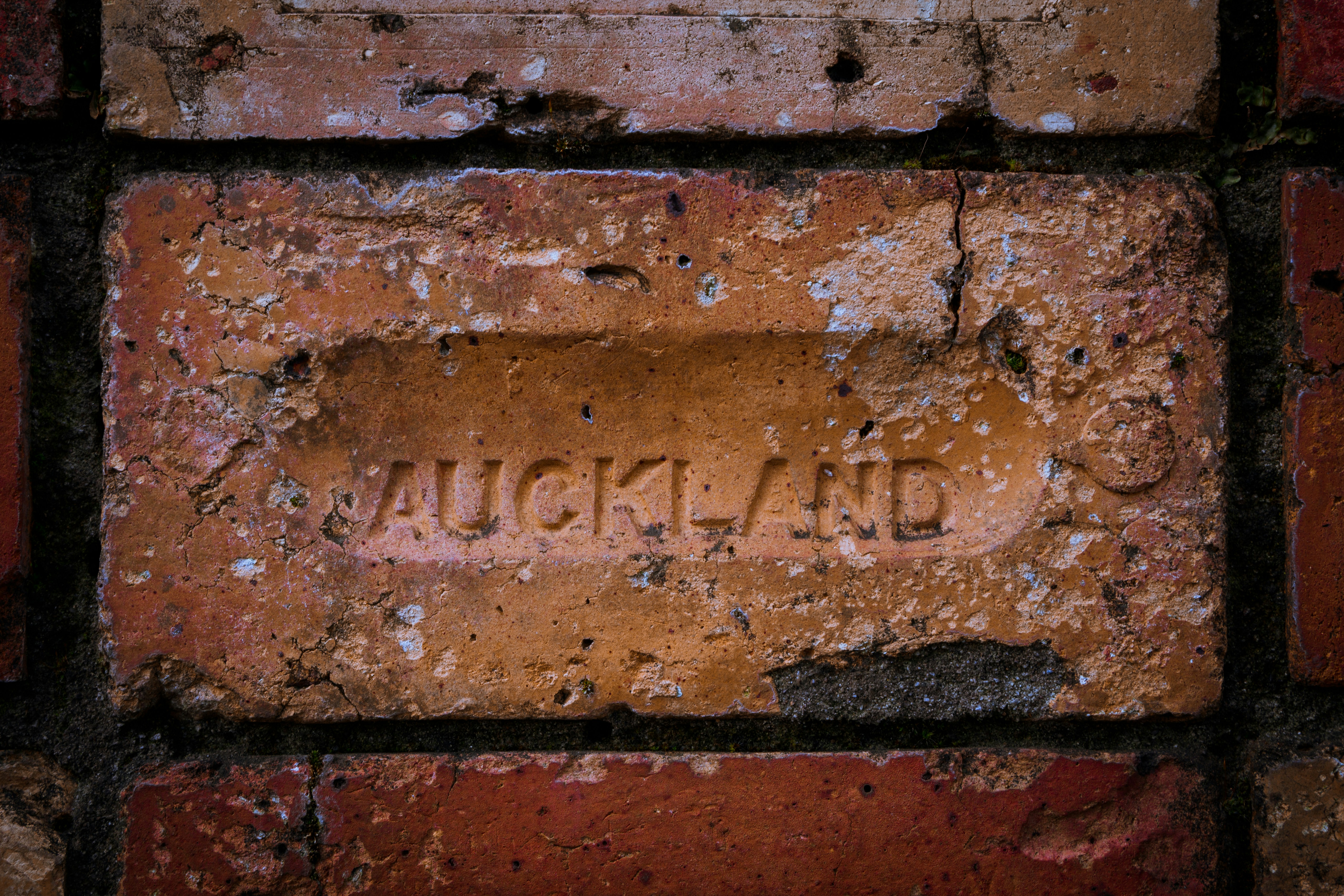 Sample photo from Fujifilm X-T200