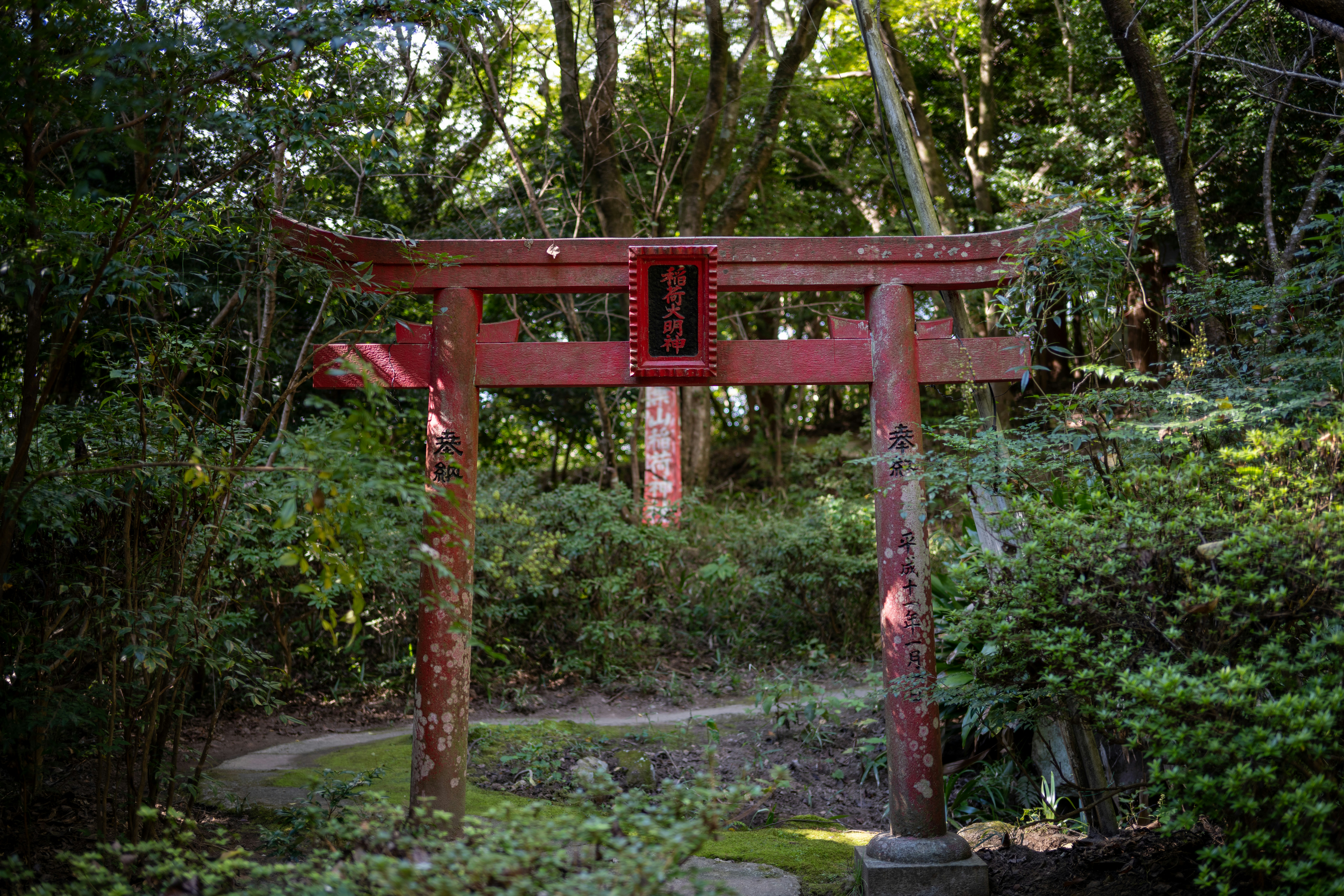 A red tori tori tori tori tori tori tori tori tori tori tori tori tori ...