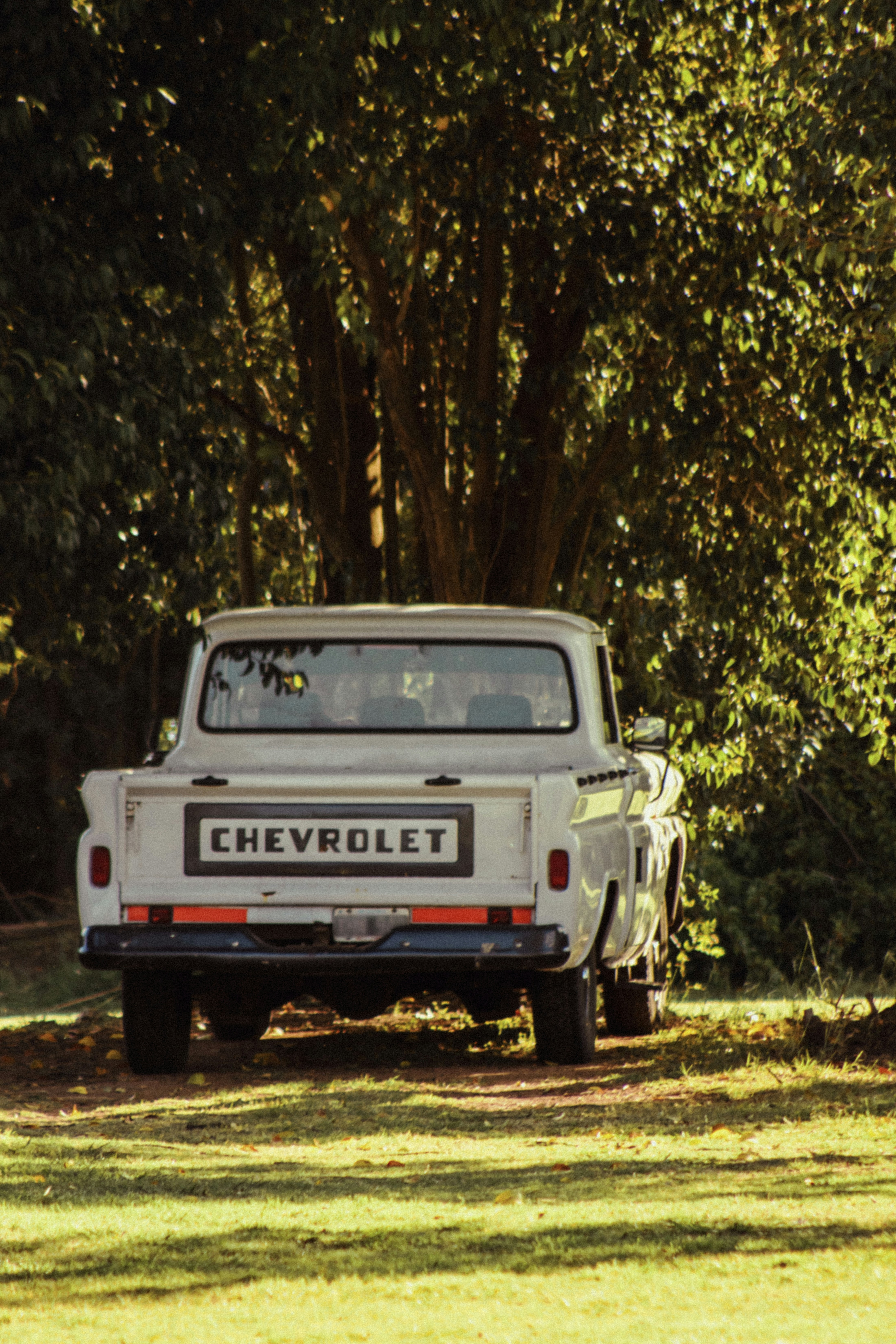 a pick up truck is parked in the grass