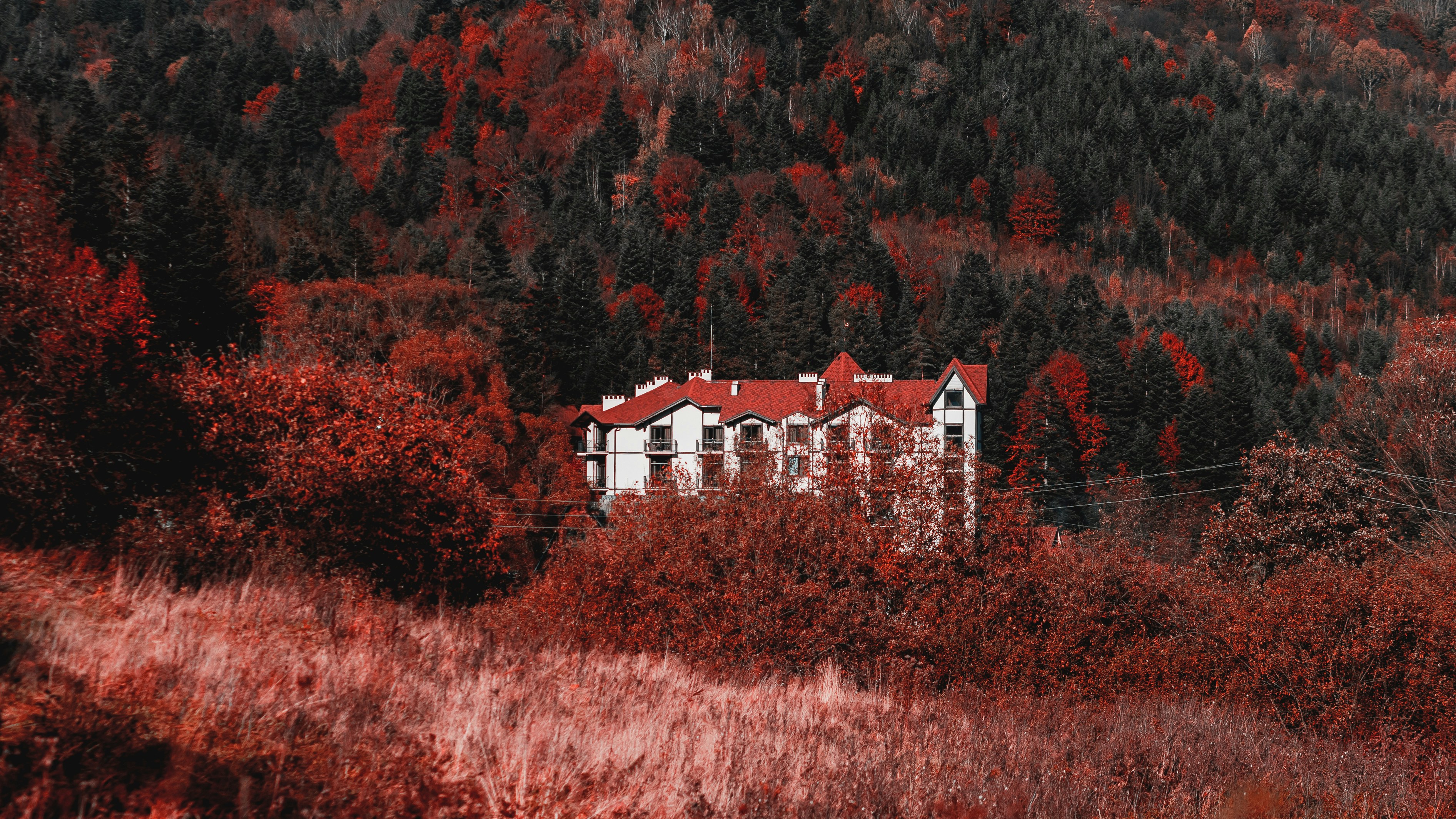 A serene hotel nestled among vibrant autumn foliage, showcasing a palette of reds and greens against a mountainous backdrop.