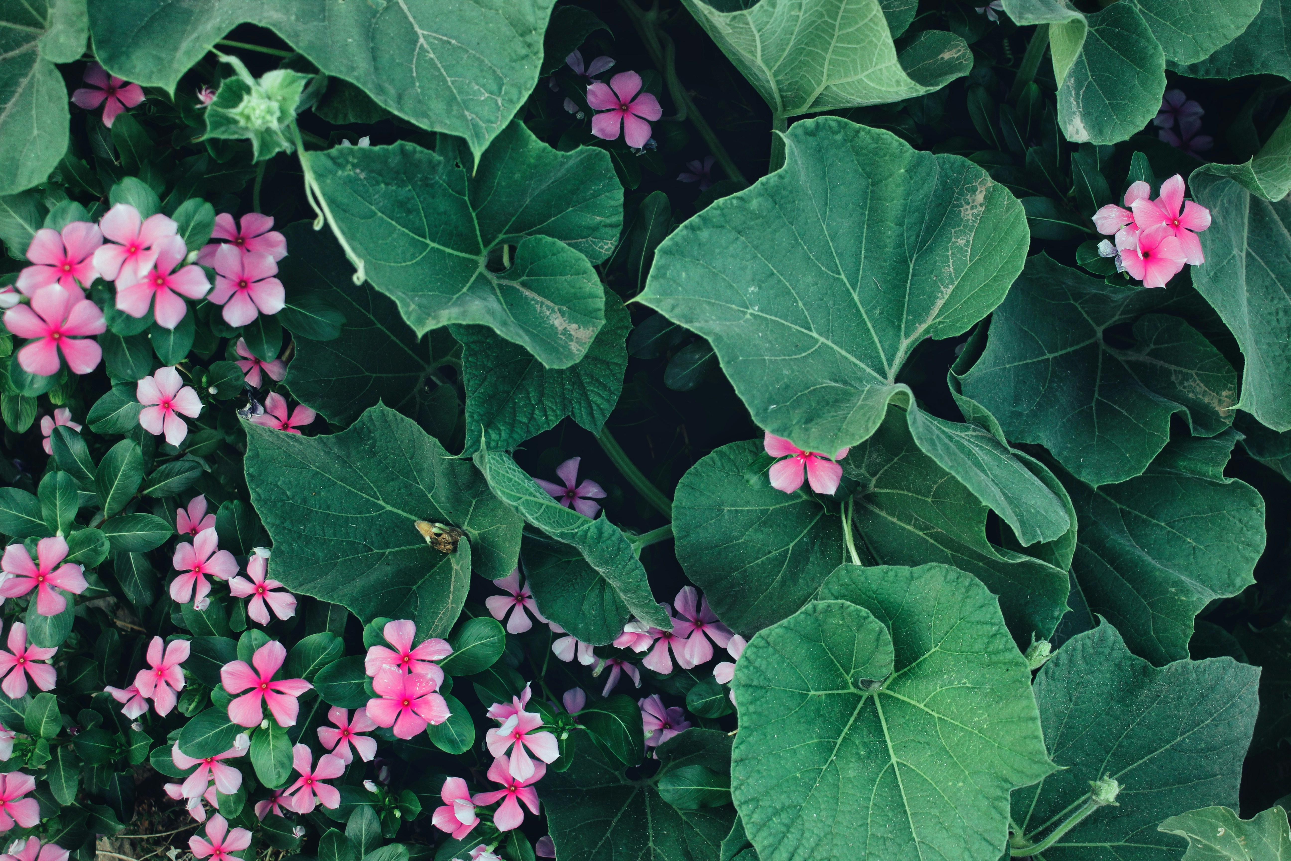 Photo by FAI ZAN with Canon EOS 4000D