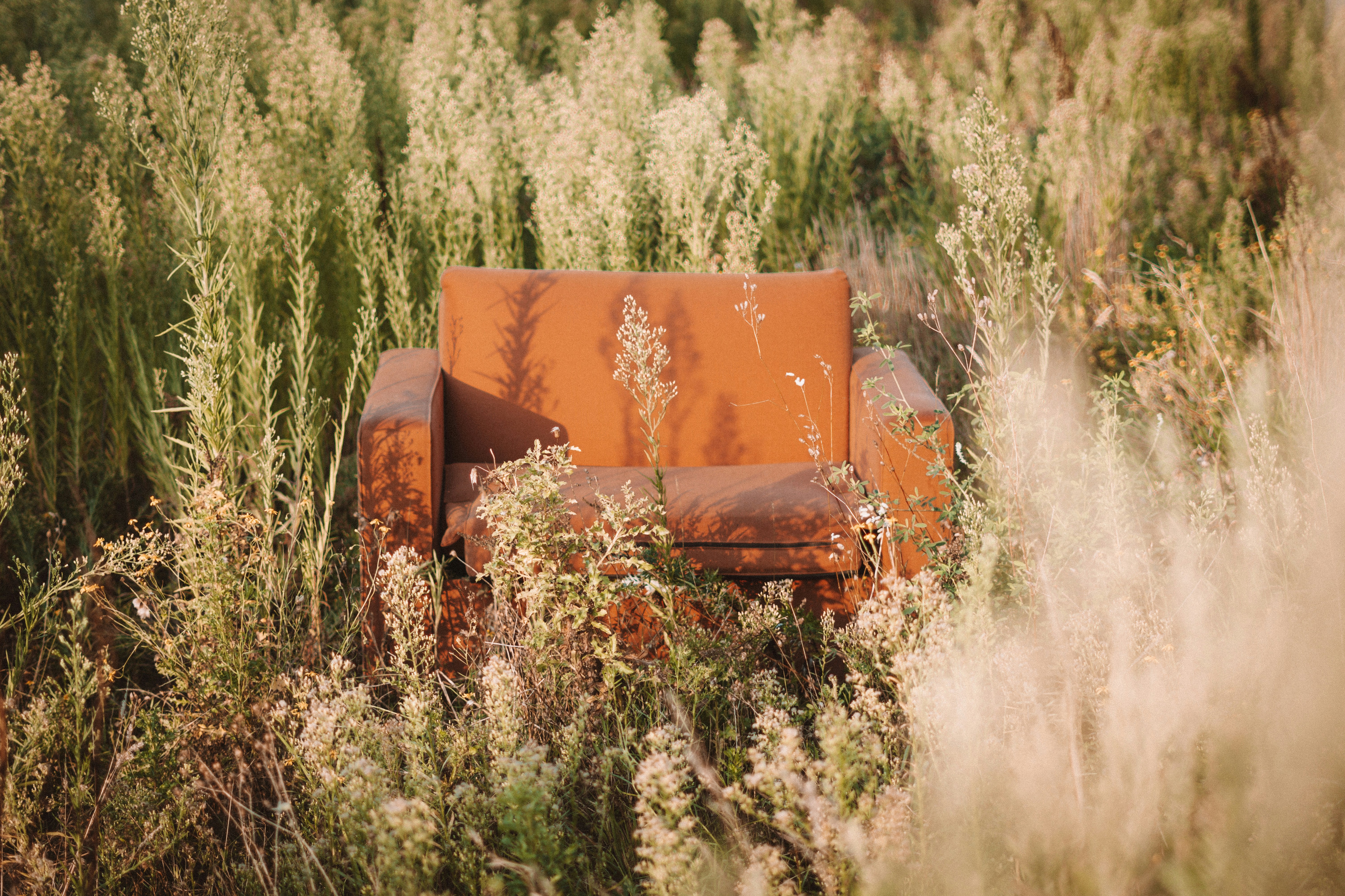 A rusted out chair sitting in a field of tall grass photo – Free ...