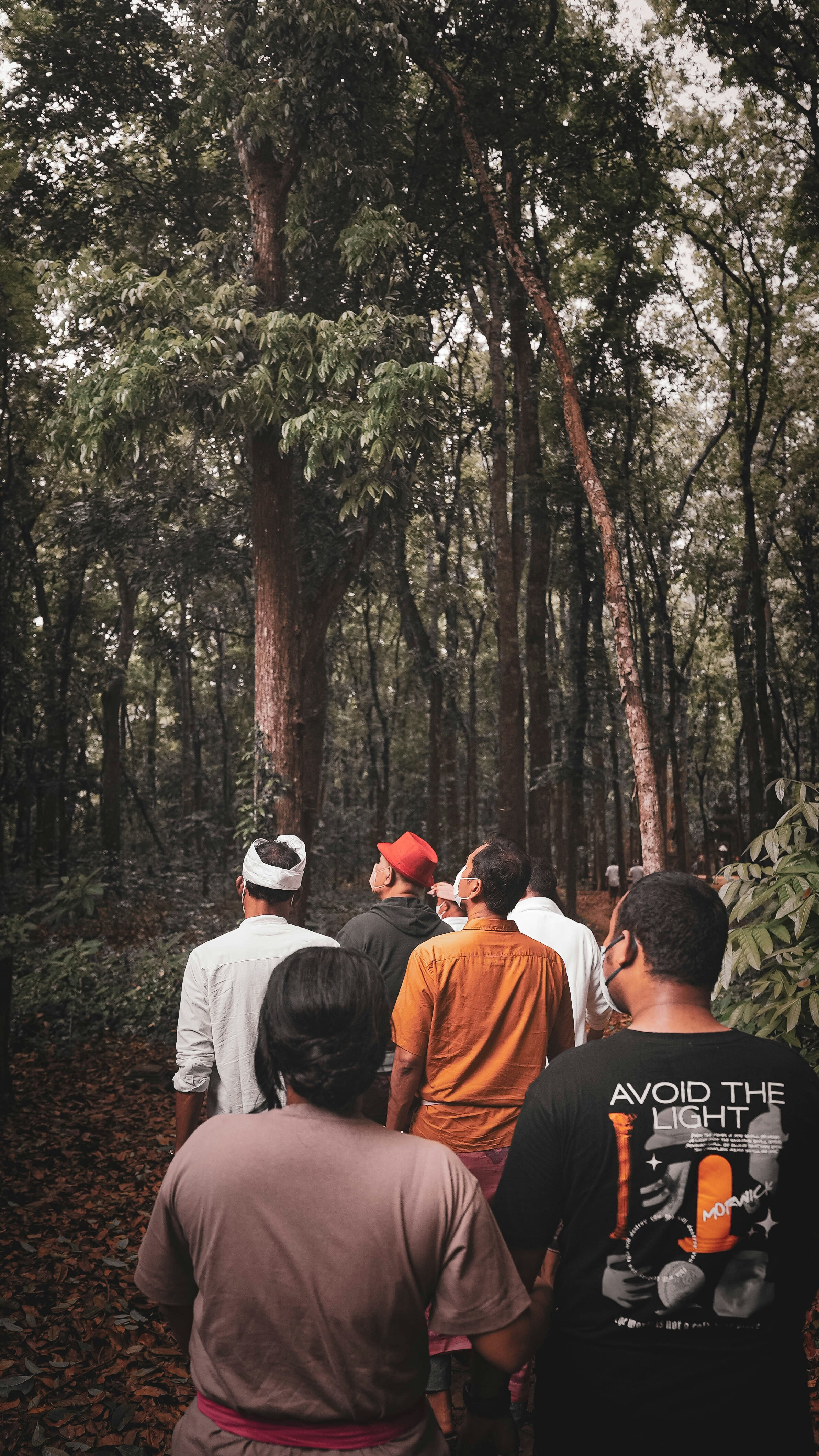 Backturned Through the Pines: A Quiet Forest March