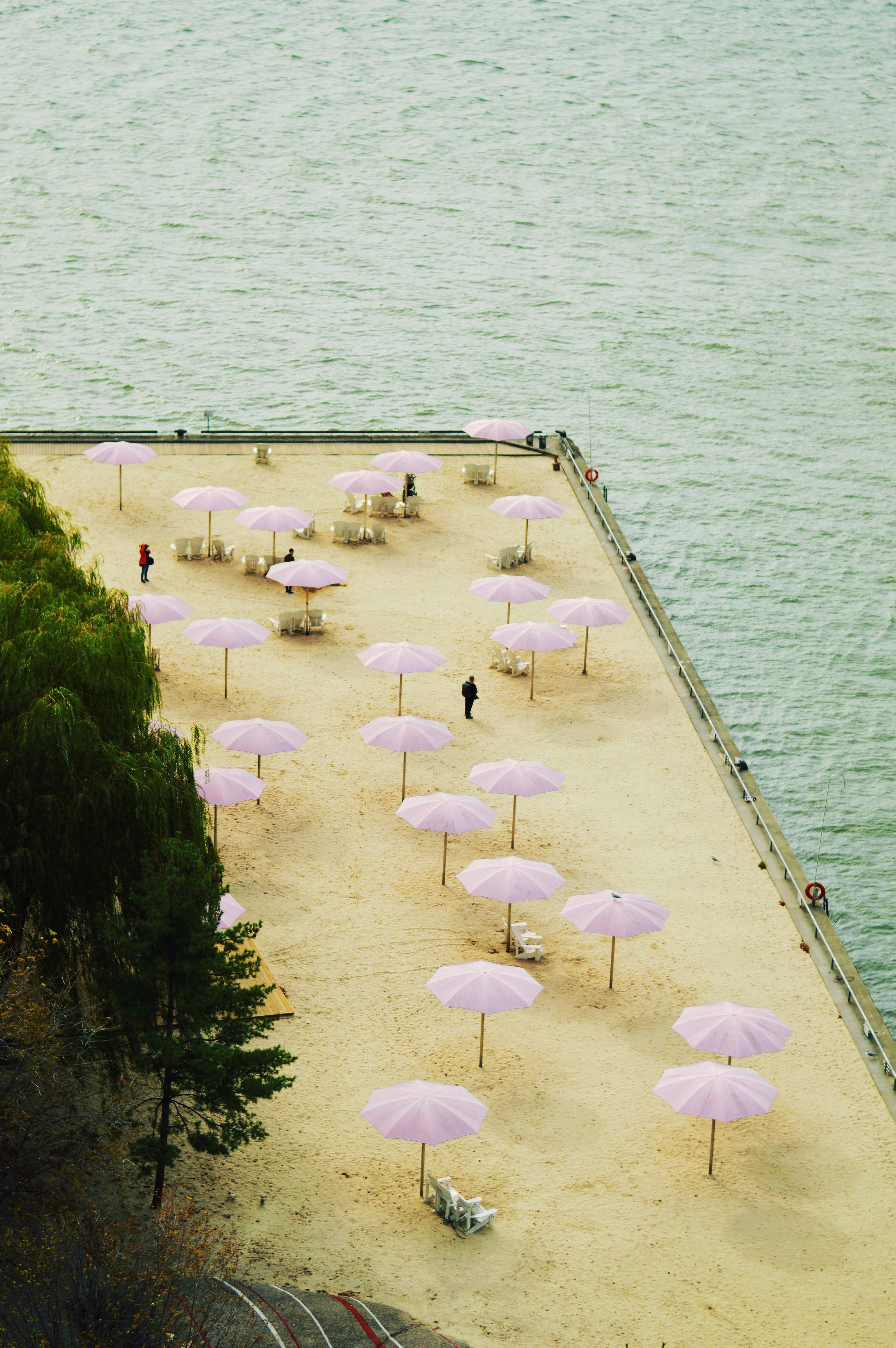 Un tas de parasols qui sont sur une plage photo – Photo Toronto ...
