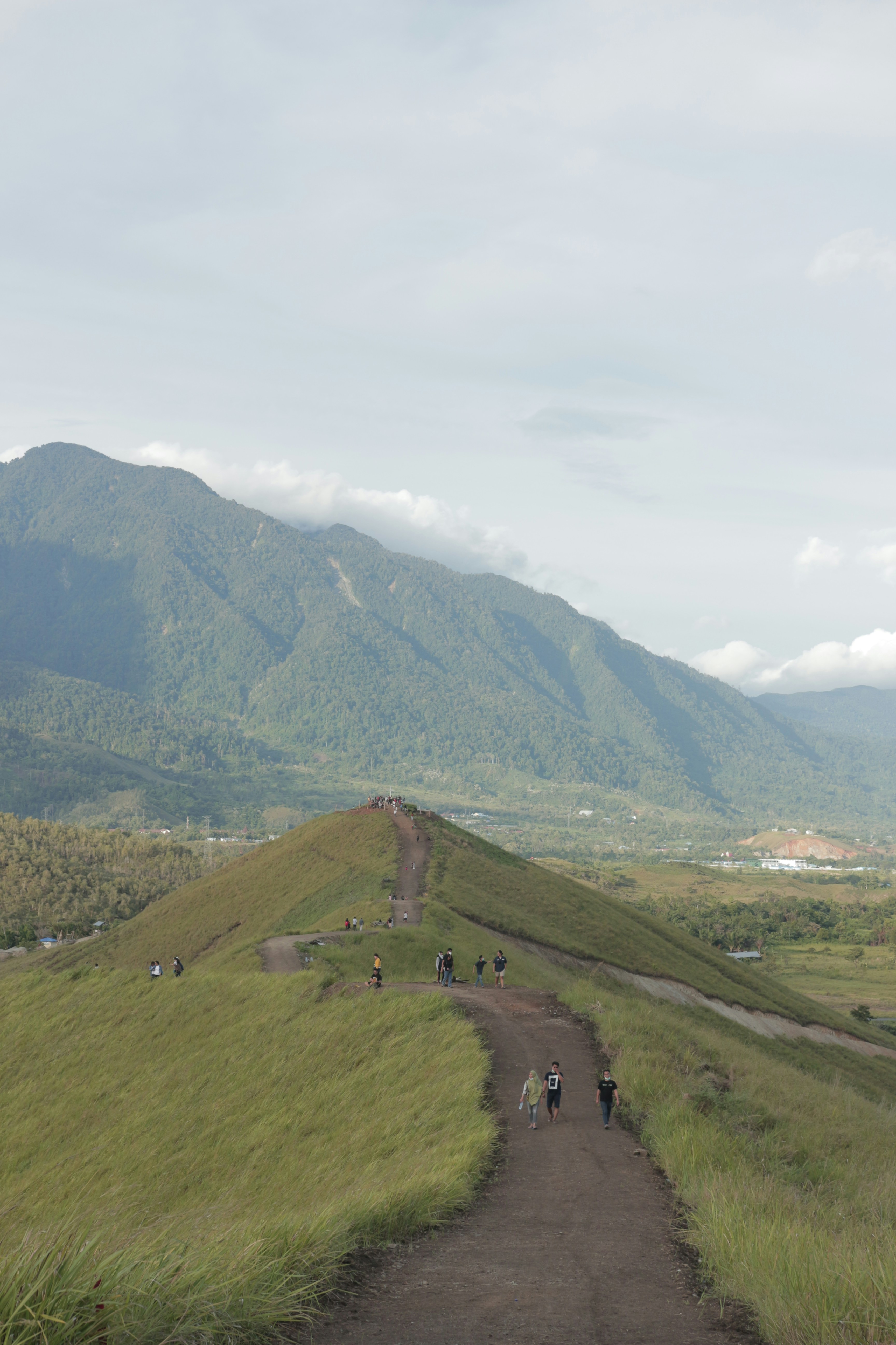 A group of people walking up a hill photo – Free Papua Image on Unsplash