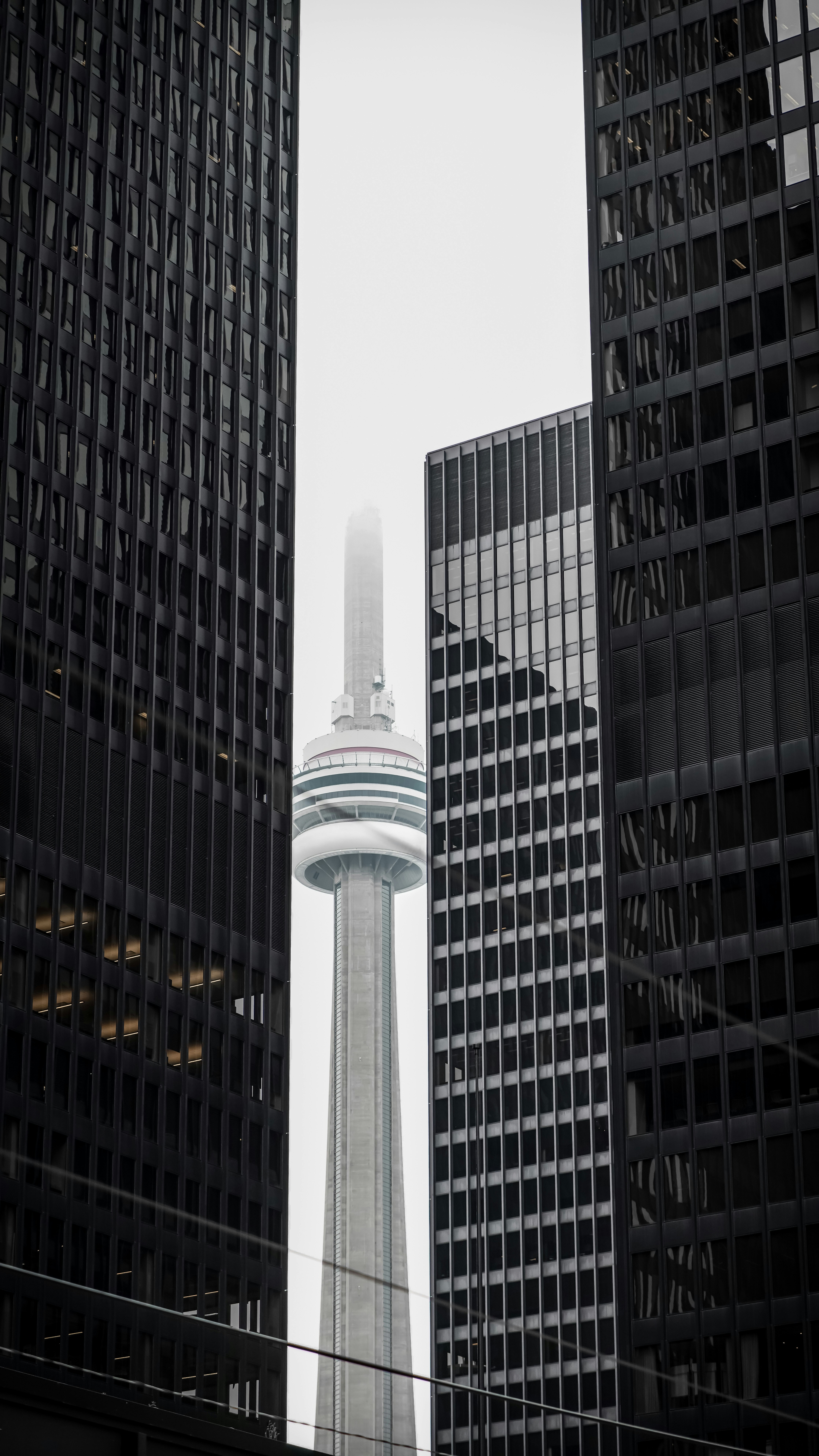 A view of the space needle from between two skyscrapers photo – Free ...