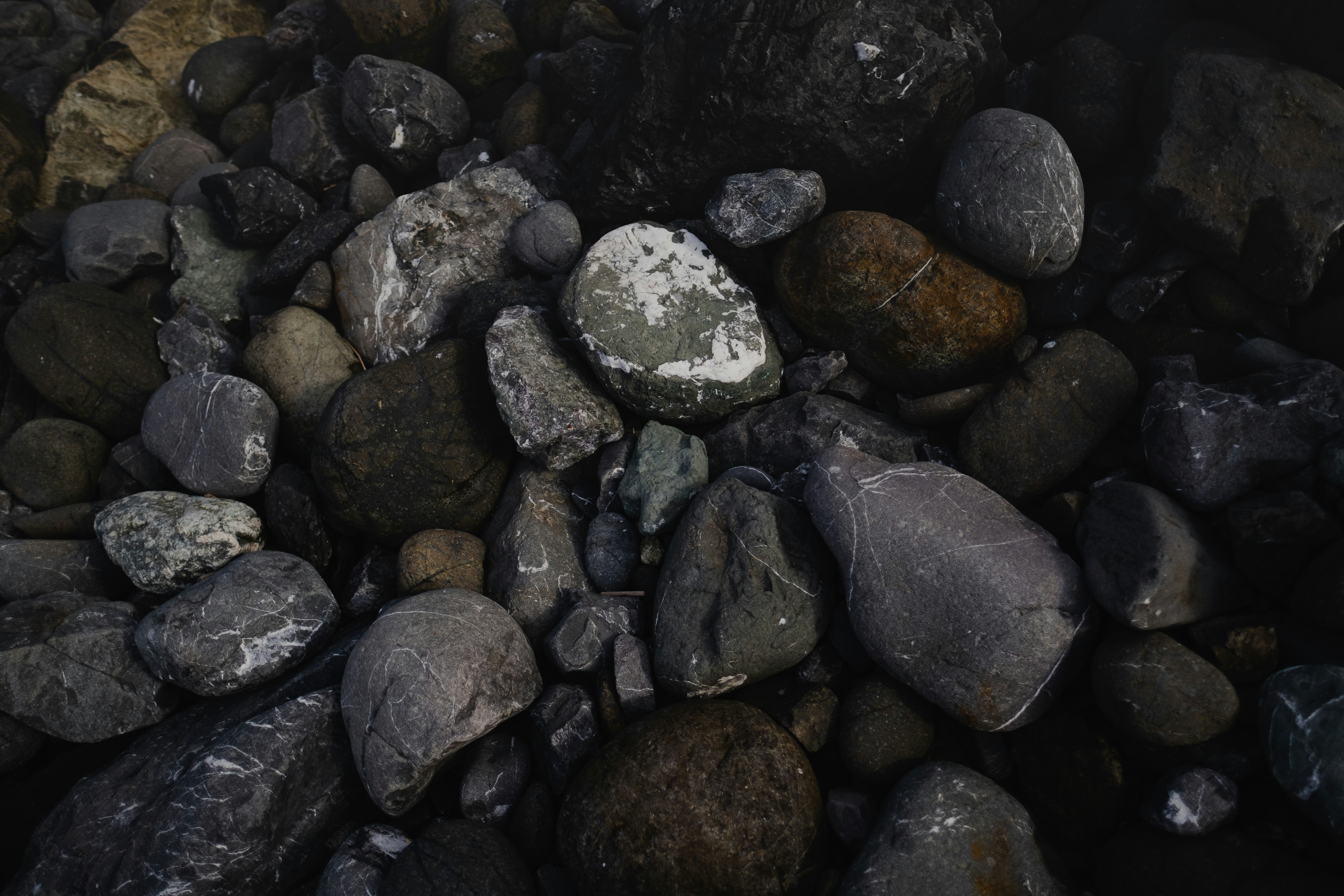 A diverse collection of smooth and rough stones scattered across the ground, showcasing various shades and textures. The arrangement highlights the natural beauty of geological formations.