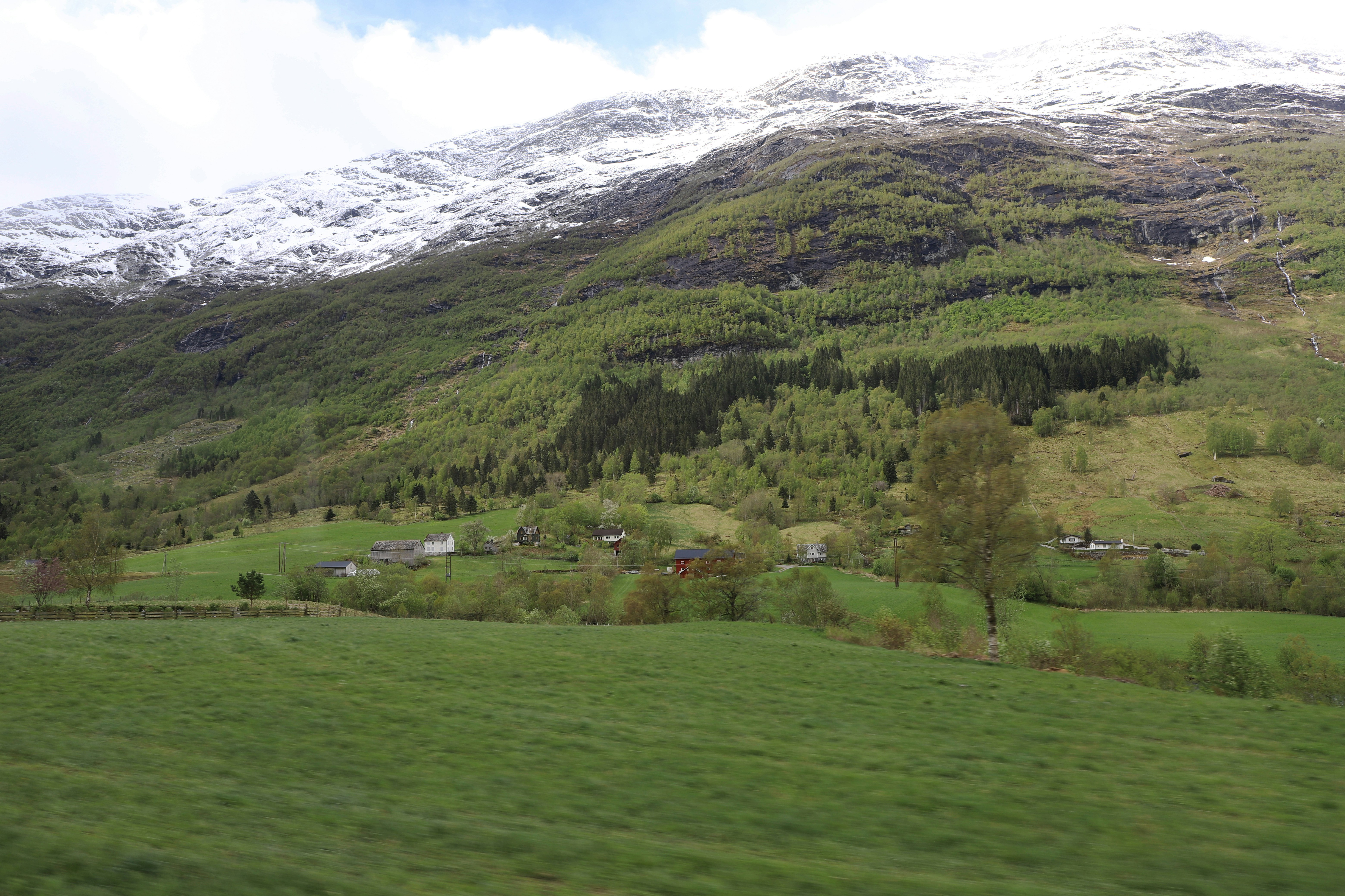 A green field with snow covered mountains in the background photo ...
