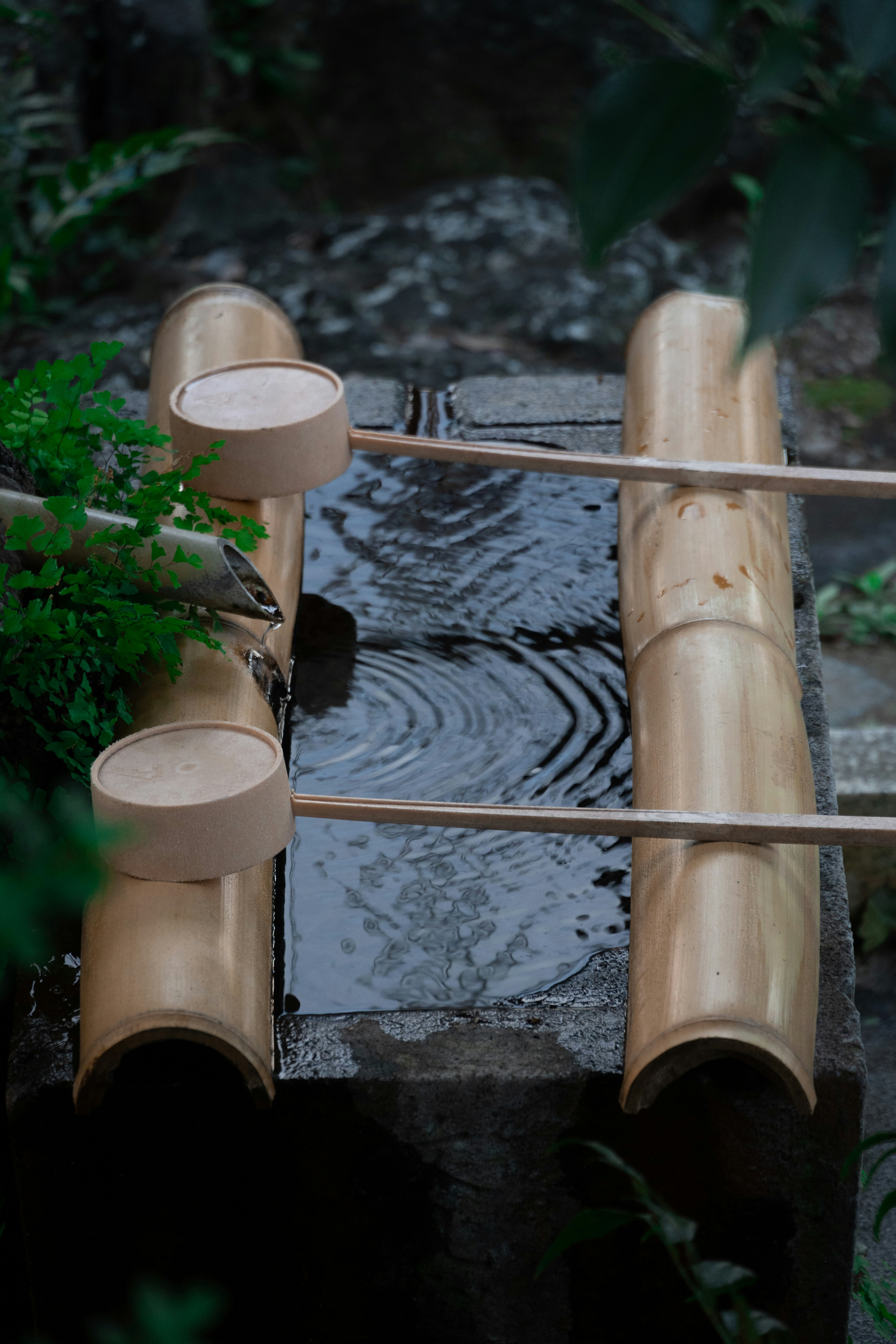 Ripple Rings on a Bamboo Water Channel