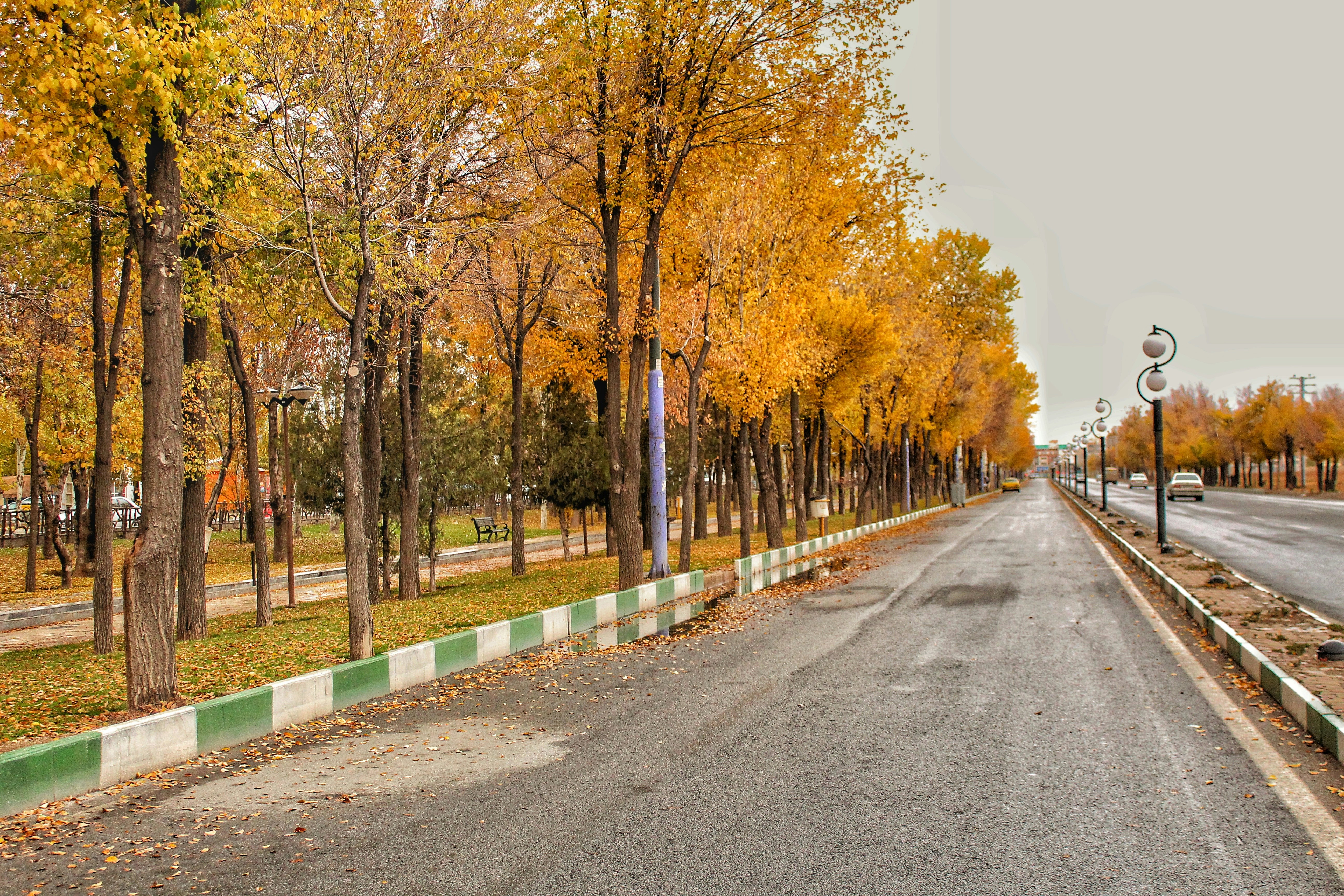 A street lined with lots of trees next to a road photo – Free Tree ...