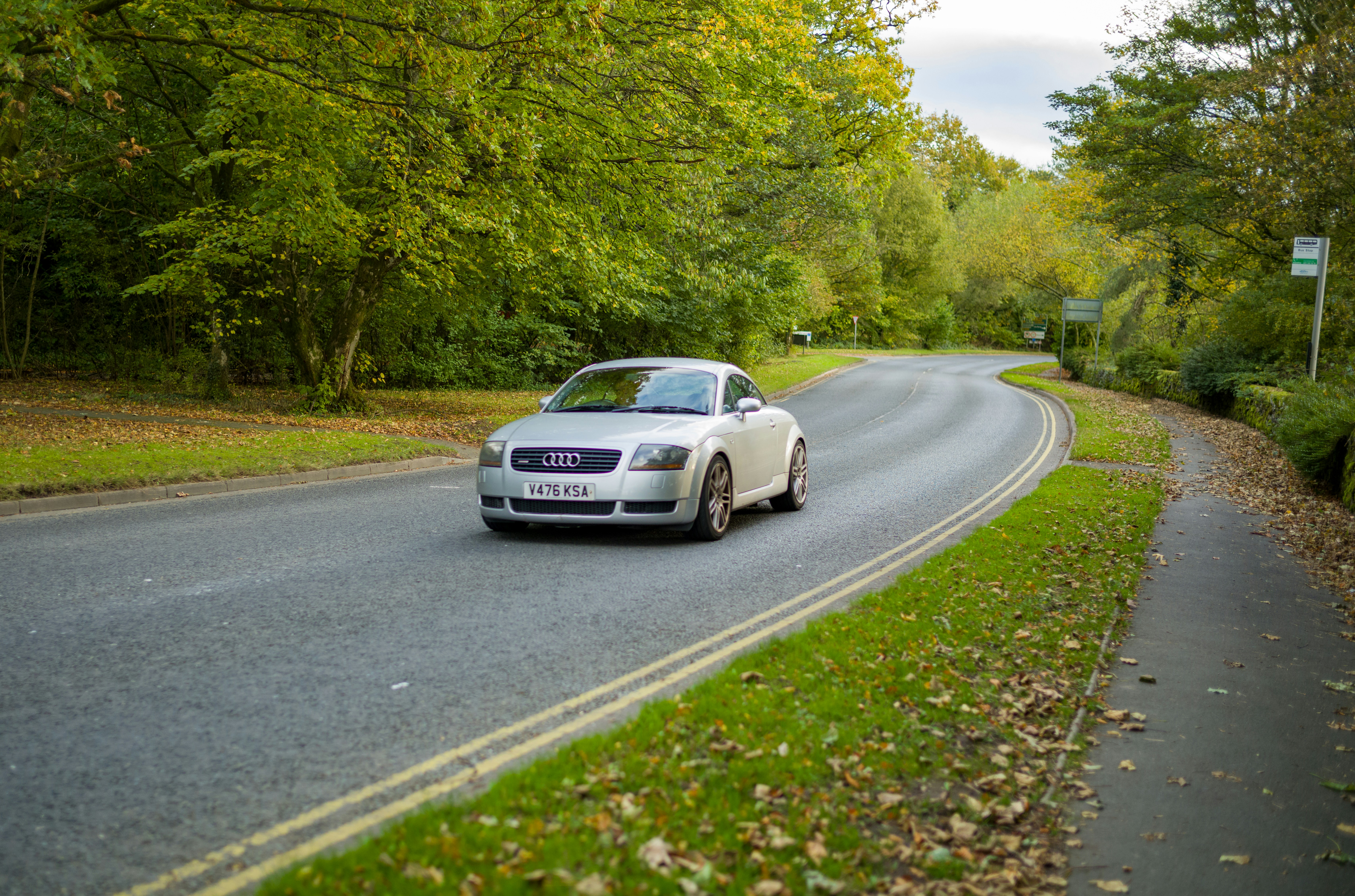 A silver Audi sports car navigates a curving road lined with lush greenery during autumn. Leaves scatter along the roadside.