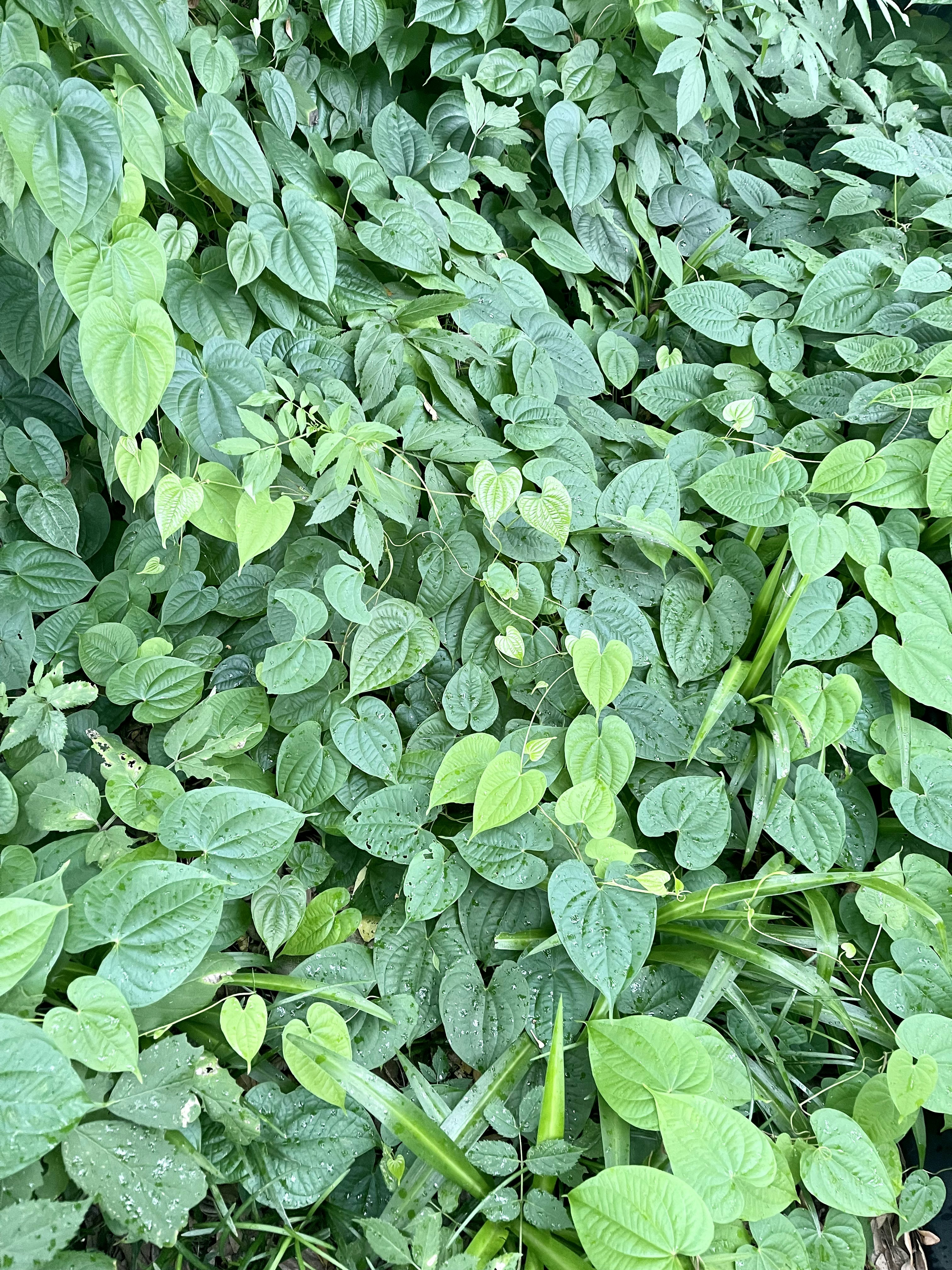 Aniston Grace (@anistongrace) | Unsplash 사진 커뮤니티