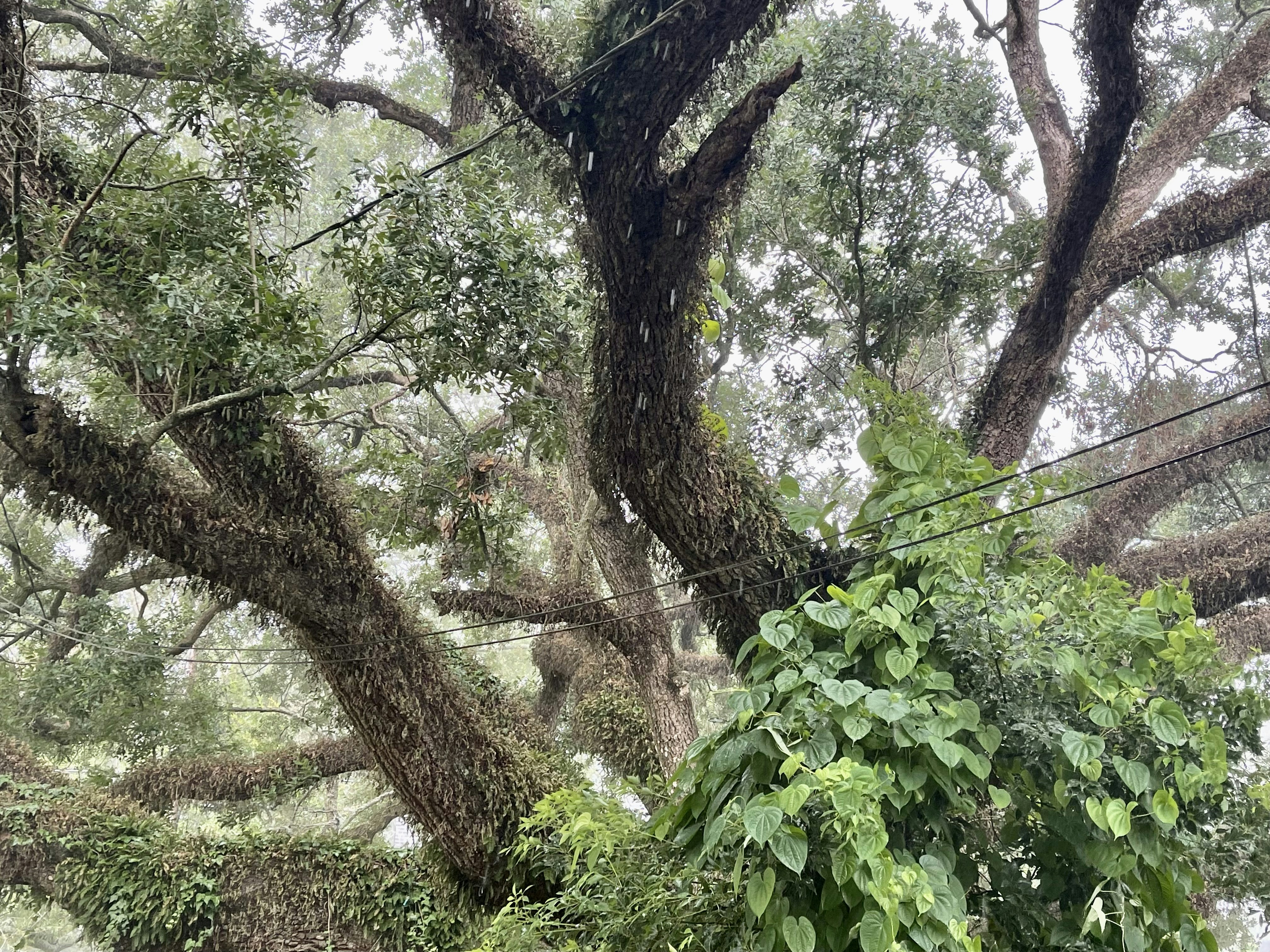 Aniston Grace (@anistongrace) | Unsplash 사진 커뮤니티