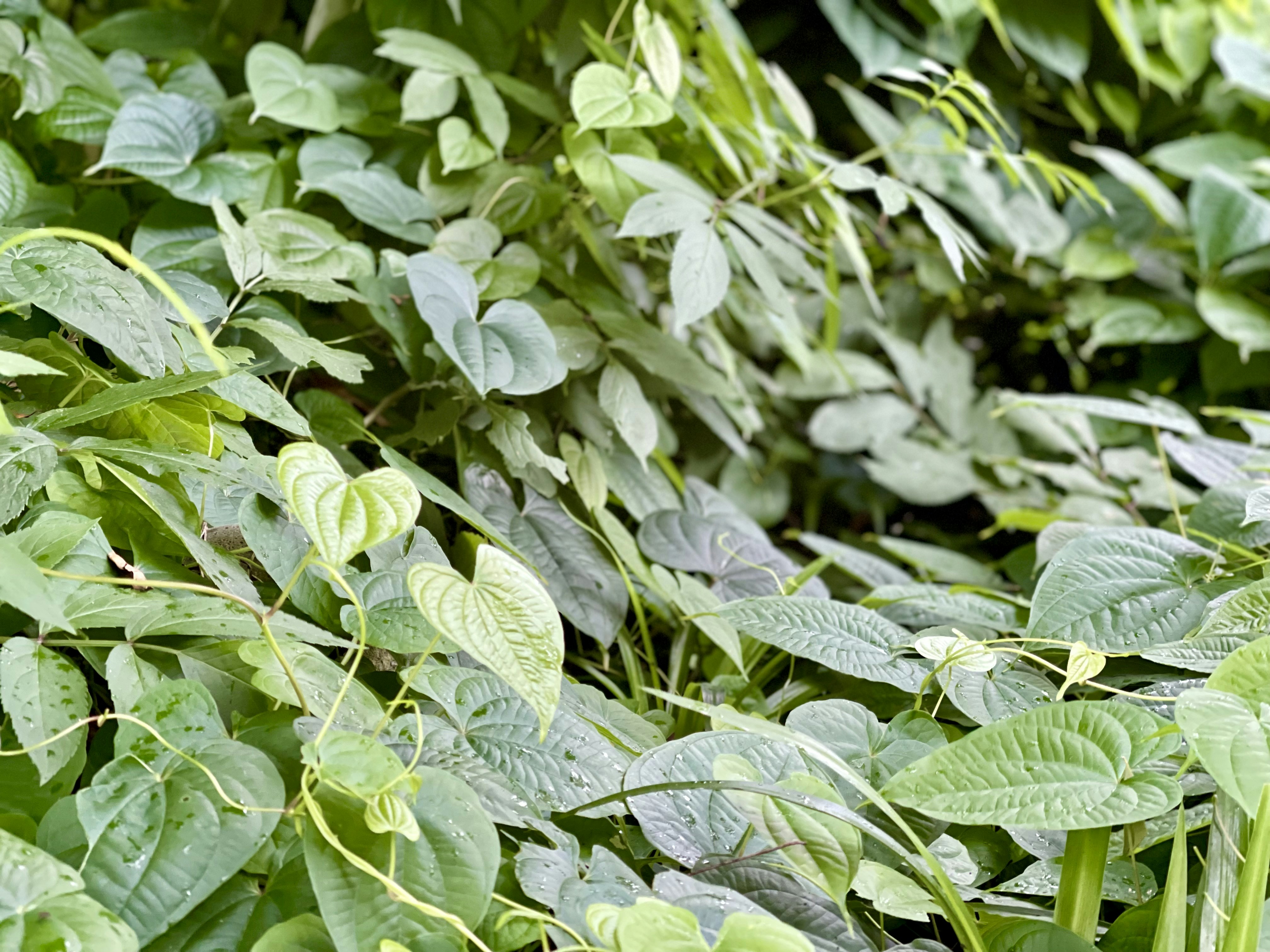 Aniston Grace (@anistongrace) | Unsplash 사진 커뮤니티