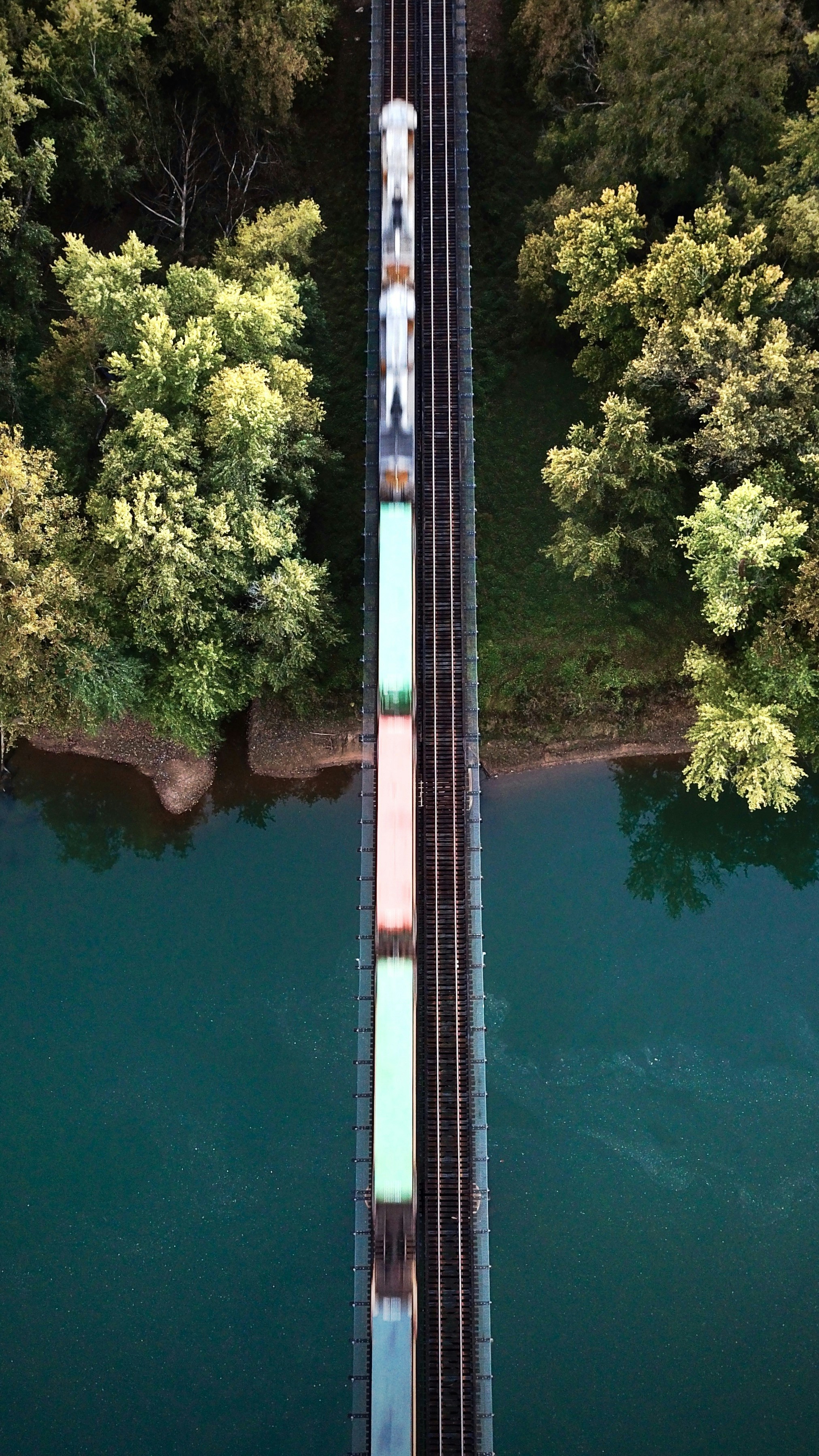 Blurred train crossing a bridge above a river, surrounded by lush green forest.