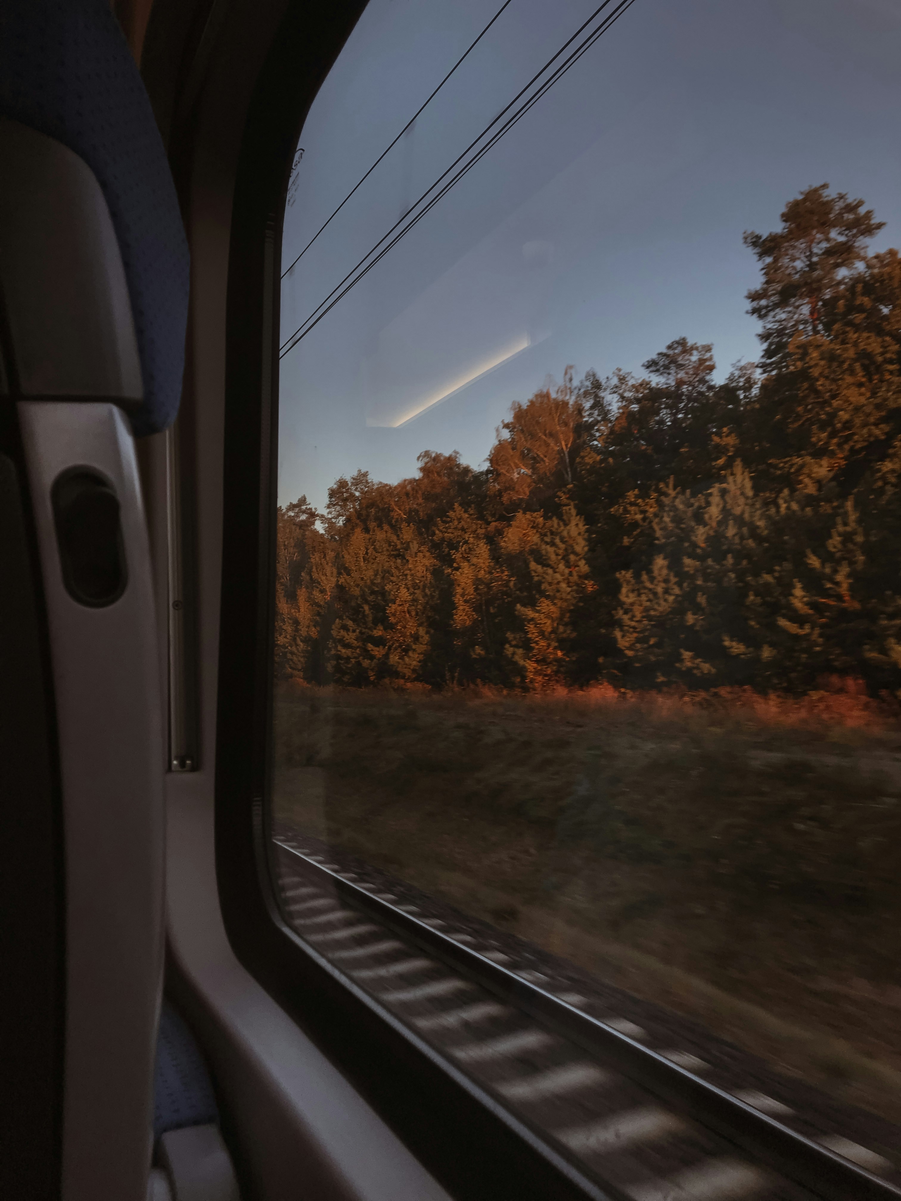 A view of trees from a train window photo – Free Grey Image on Unsplash
