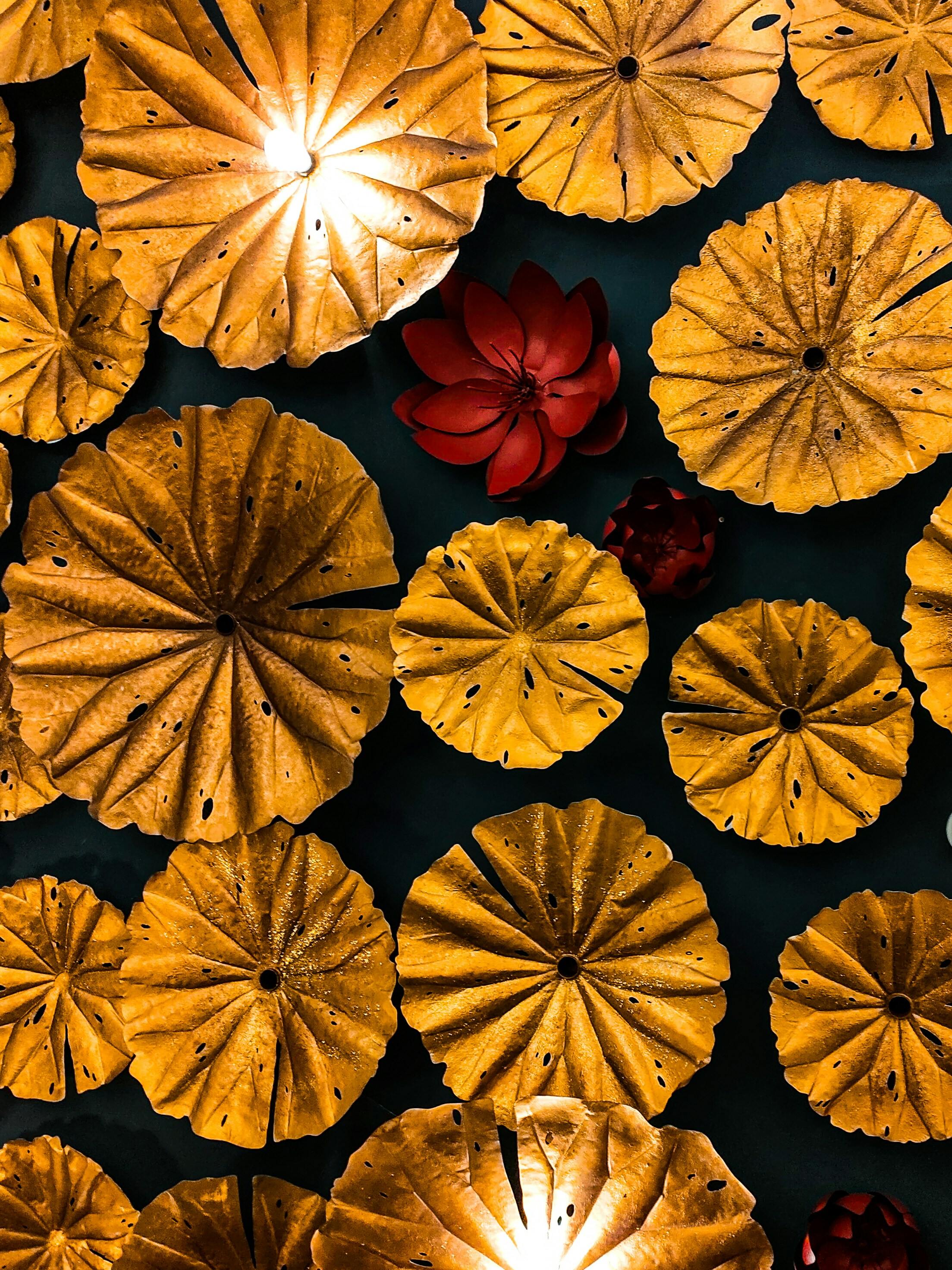 Close-up photograph of overlapping yellow circular leaves arranged like mandalas with a red bloom at the center.