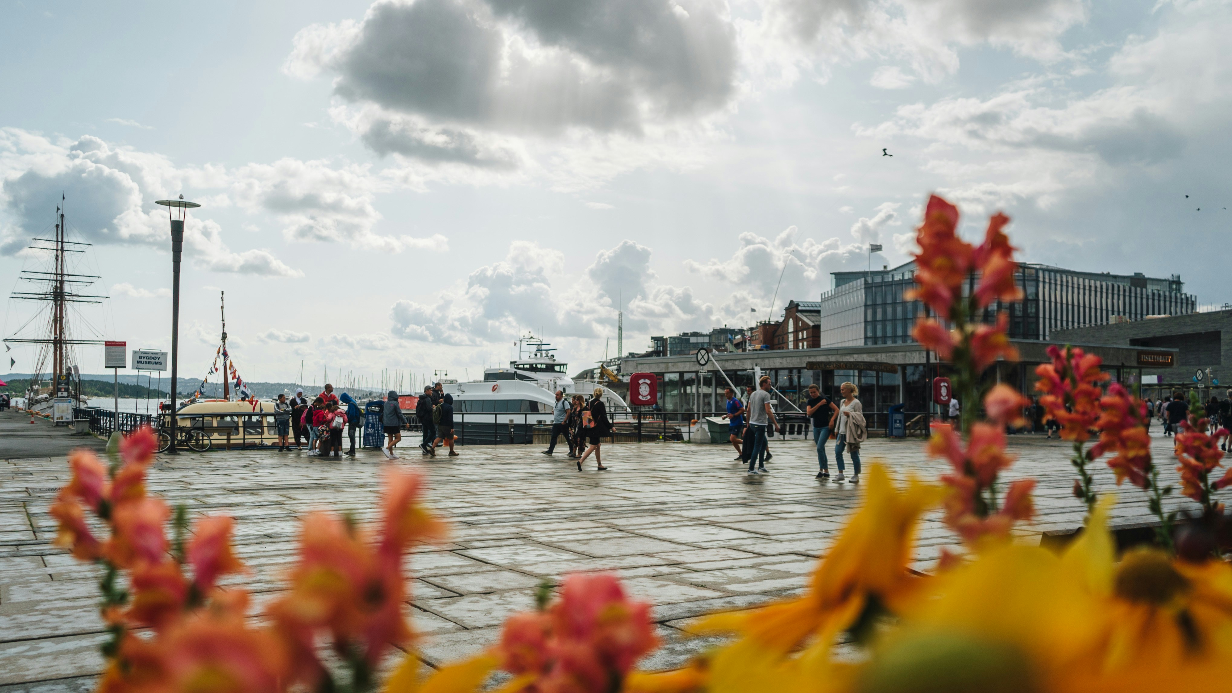 Quayside in Bloom: Pedestrians Quietly Frame the Harbor