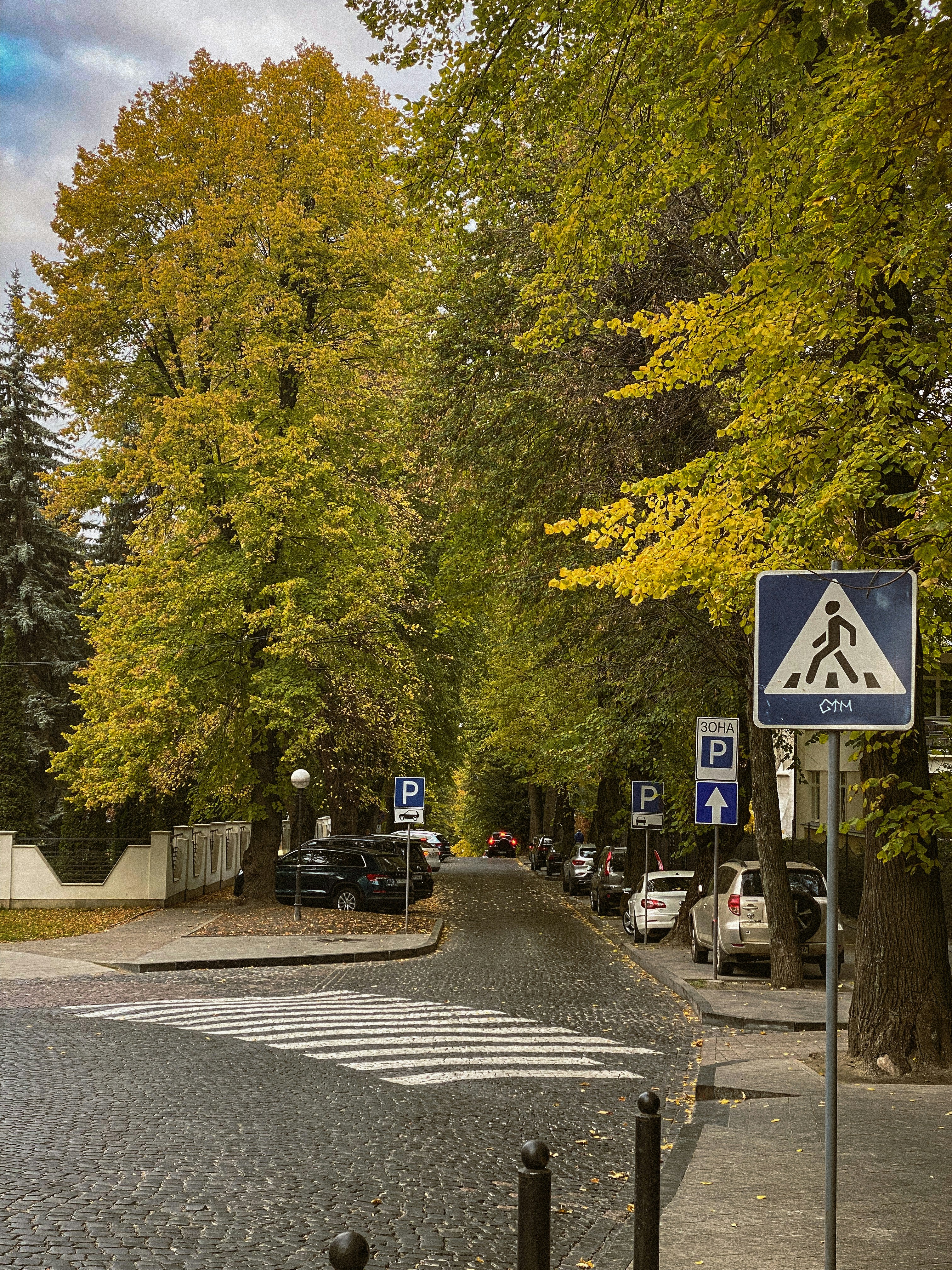 Foto zum Thema Eine Straße mit seitlich geparkten Autos – Kostenloses ...