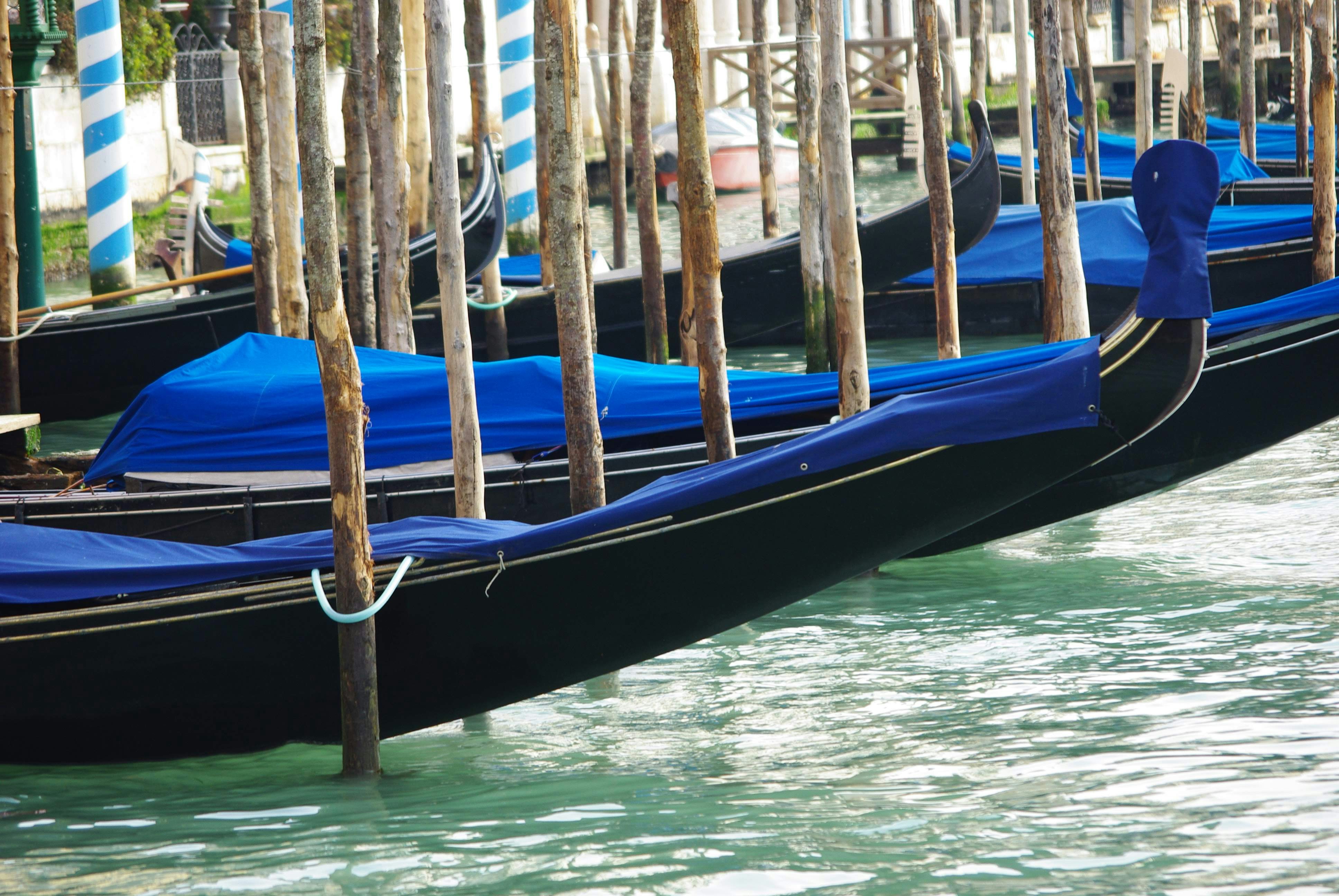 Gondolas with blue covers anchored between wooden poles in tranquil water, reflecting a serene atmosphere.