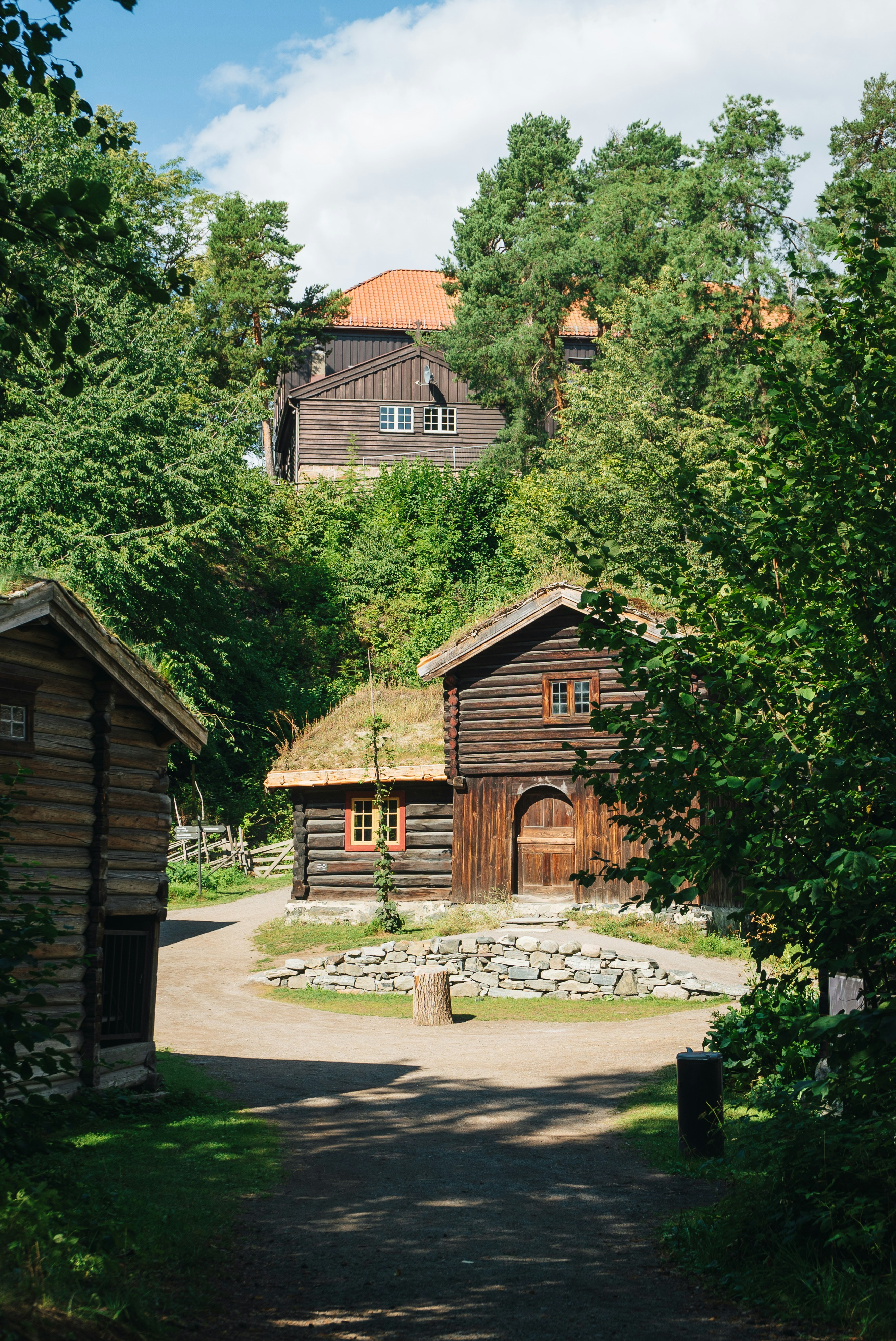 Norsk Skogskatt Photos | Télécharger des images gratuites sur Unsplash