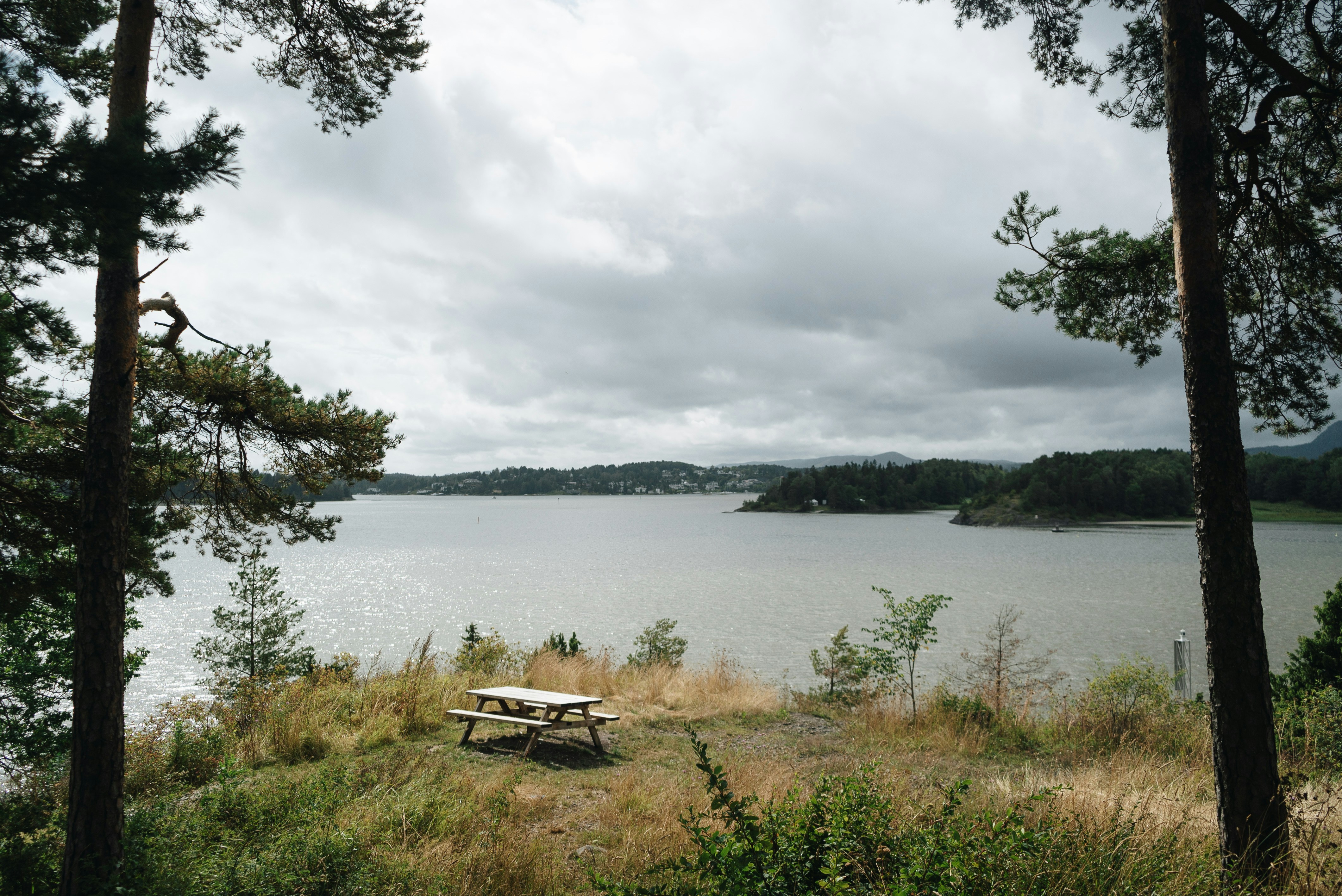 A tranquil lakeside scene featuring a picnic table surrounded by lush greenery and gentle waves under a cloudy sky.