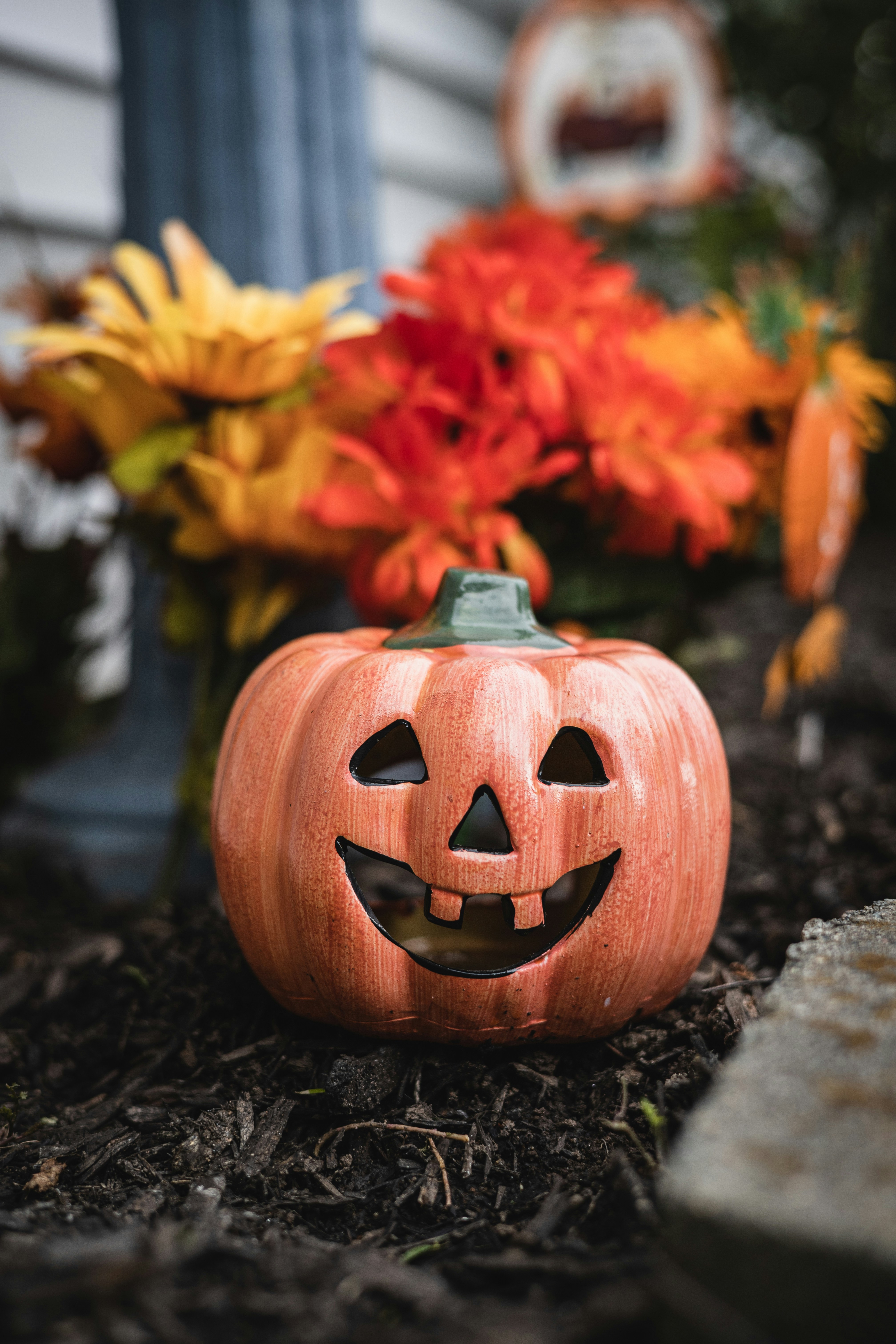 Smiling pumpkin nestled among vibrant autumn flowers, embodying the spirit of the season.