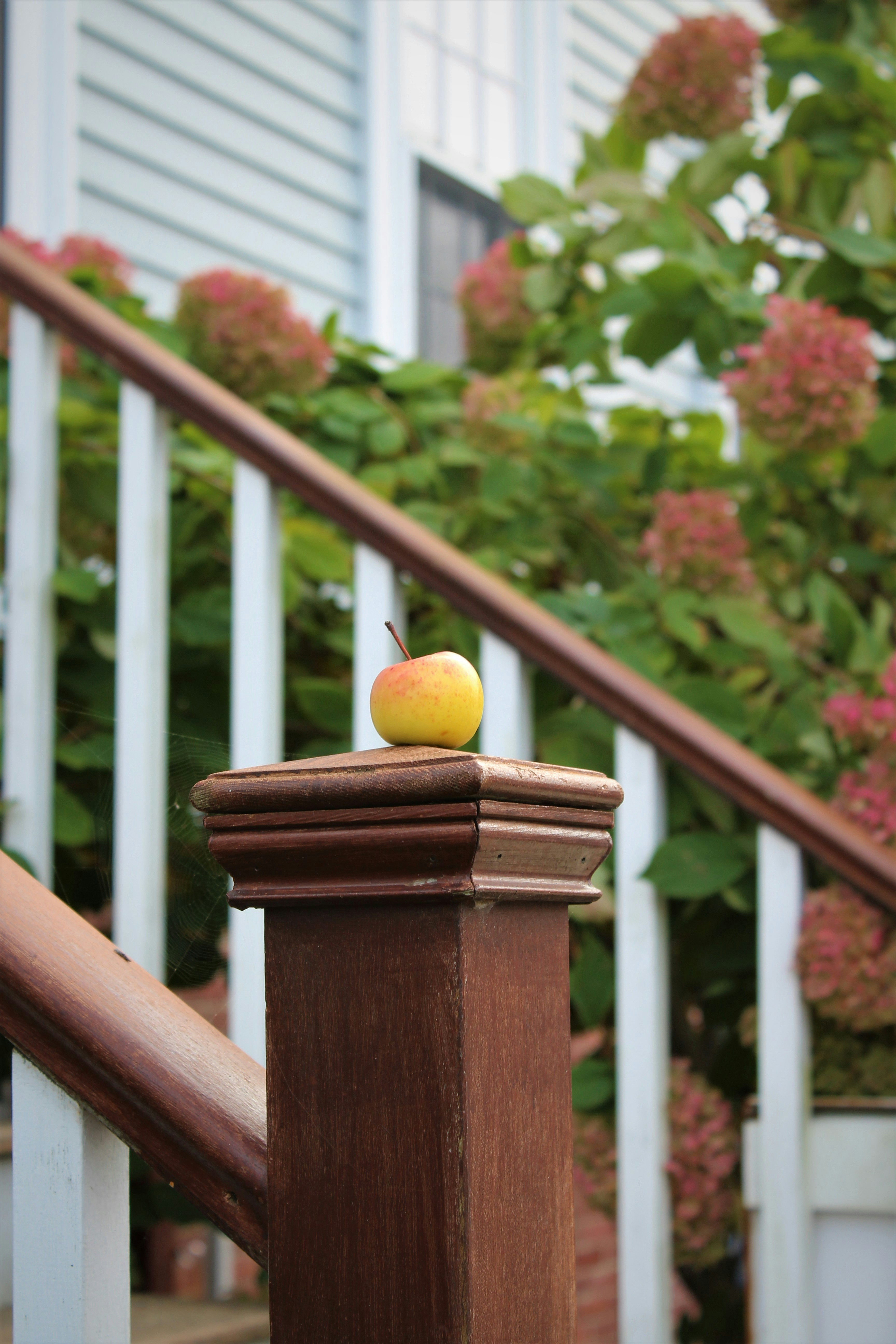 An Apple atop the Riser: Quiet Moment on the Porch Stair