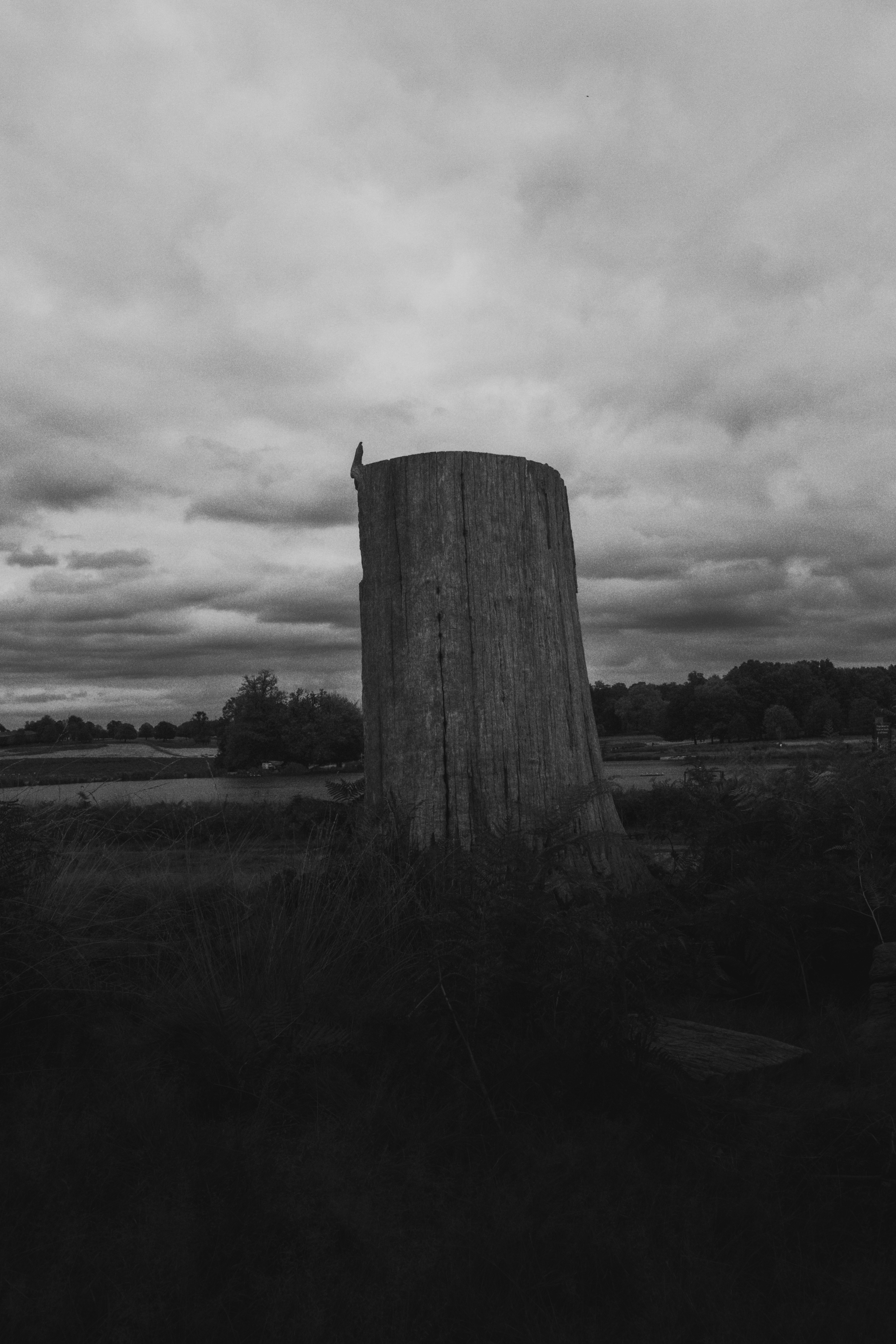 The Quiet Monolith: a lone stump anchors a cloud-churned landscape.