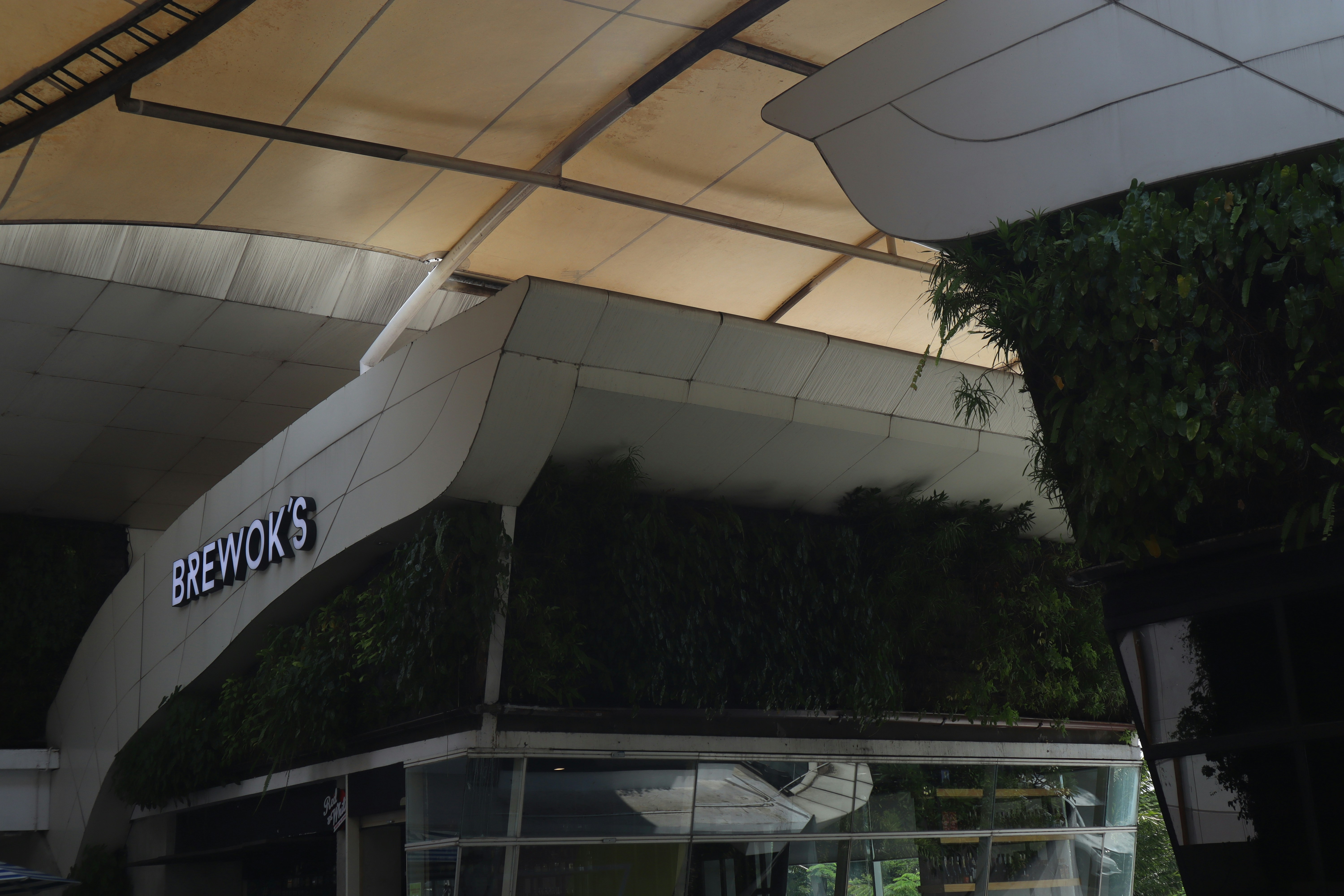 Urban Oasis Under Modern Canopy