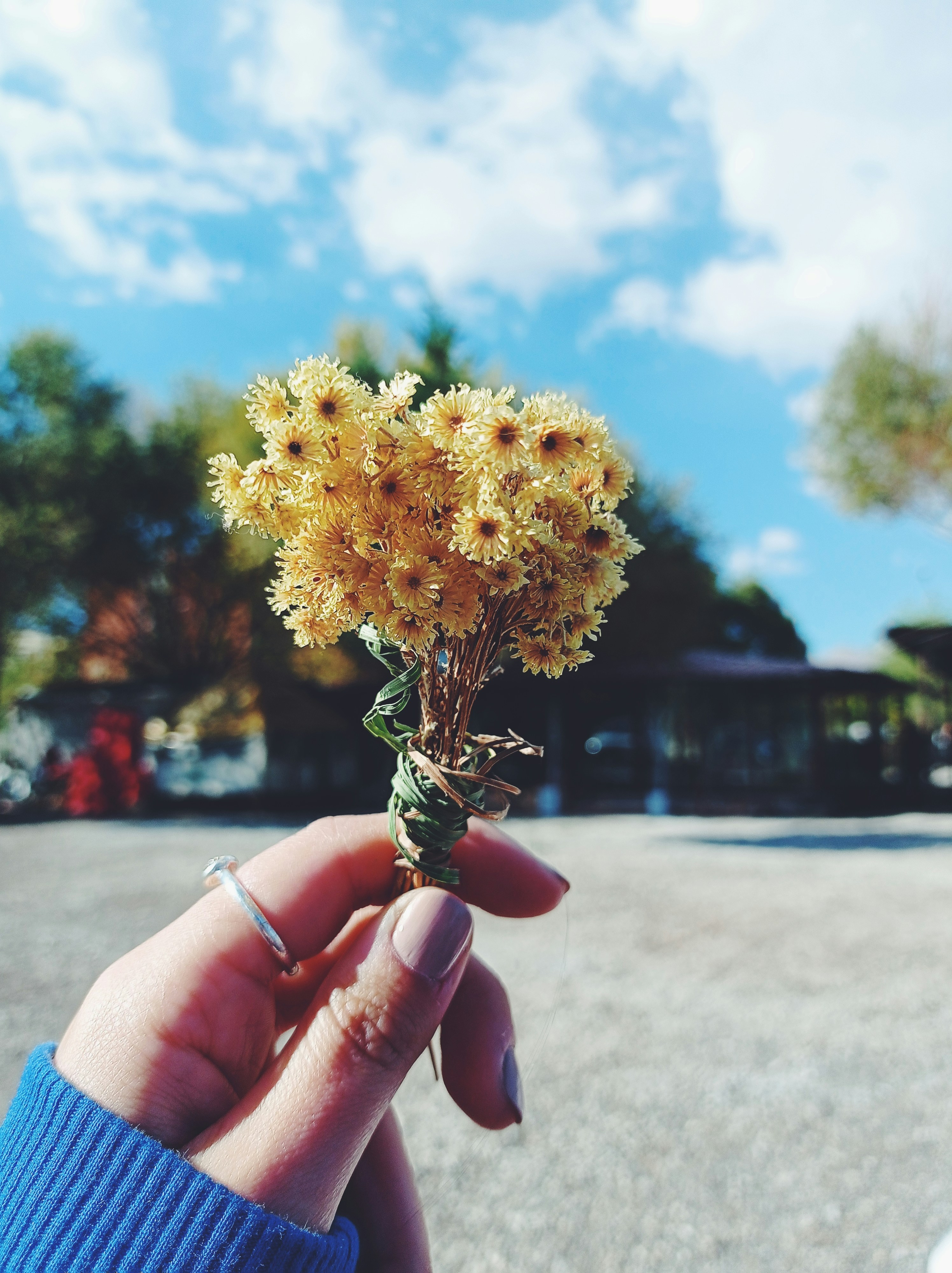 Hand holding a small bouquet of yellow flowers against a blurred outdoor background under a bright sky.