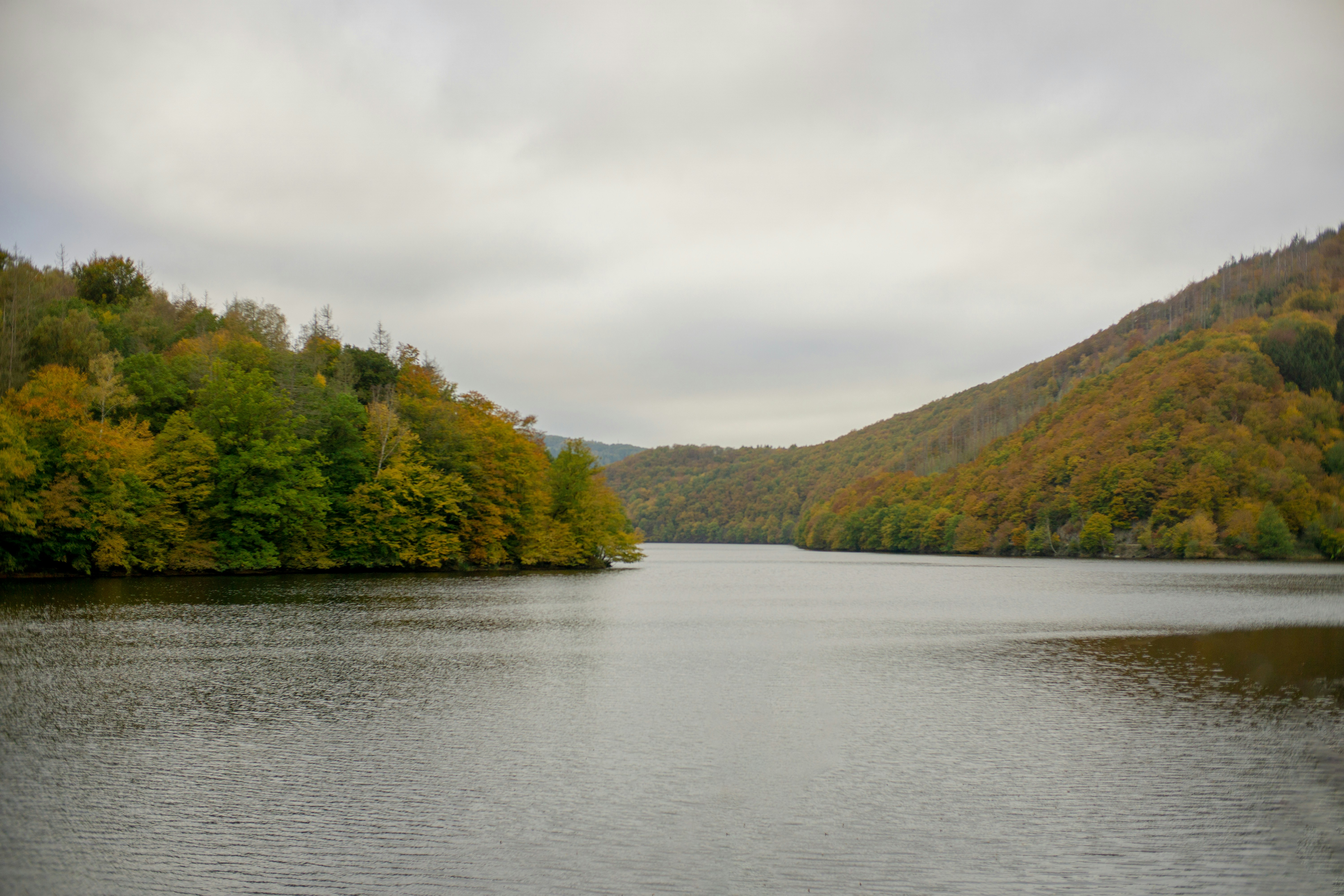 Serene lake surrounded by vibrant autumn foliage under a cloudy sky.