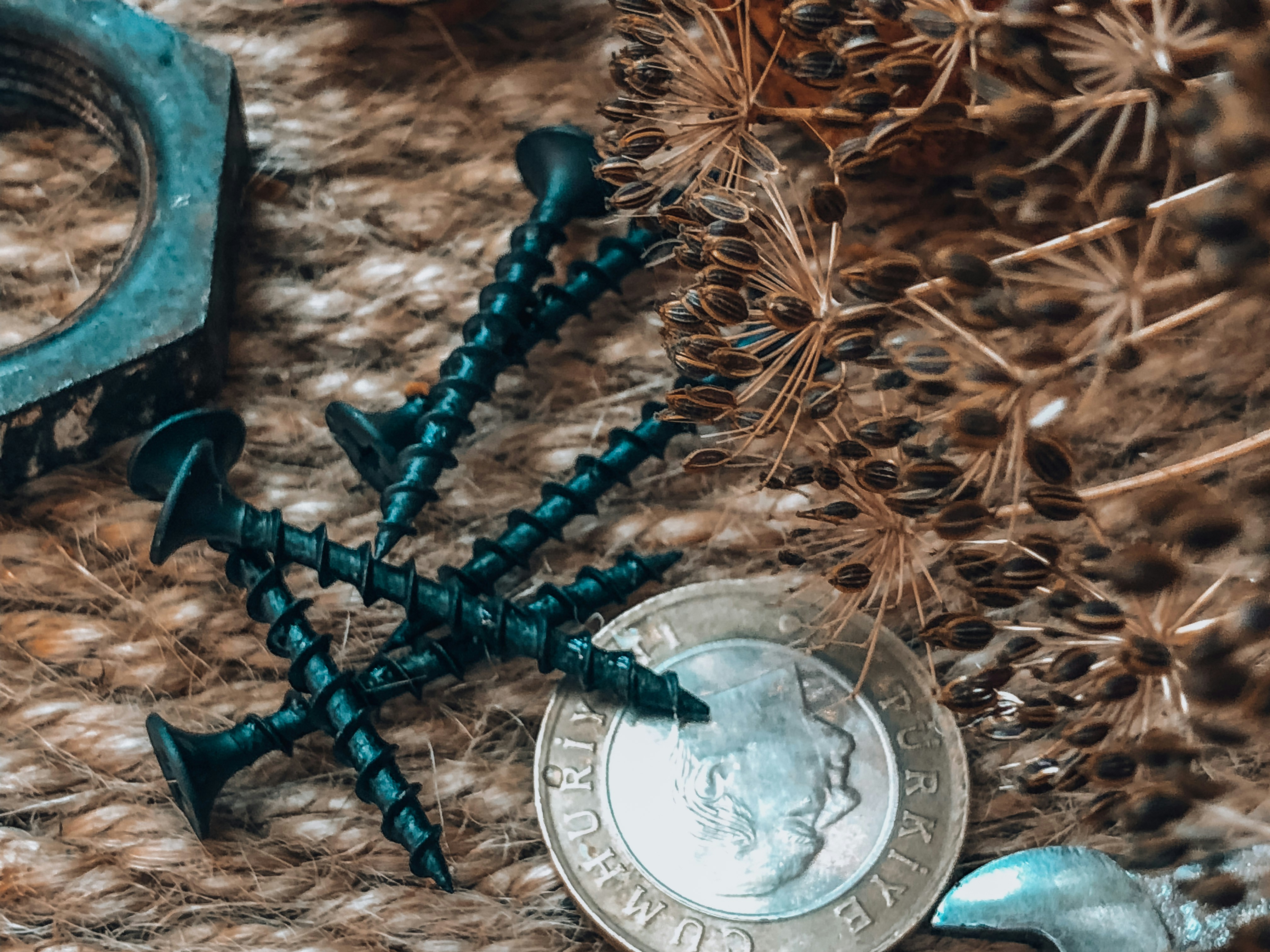 Rust and relics: a close-up of nails, screws, and a coin amid dried flora
