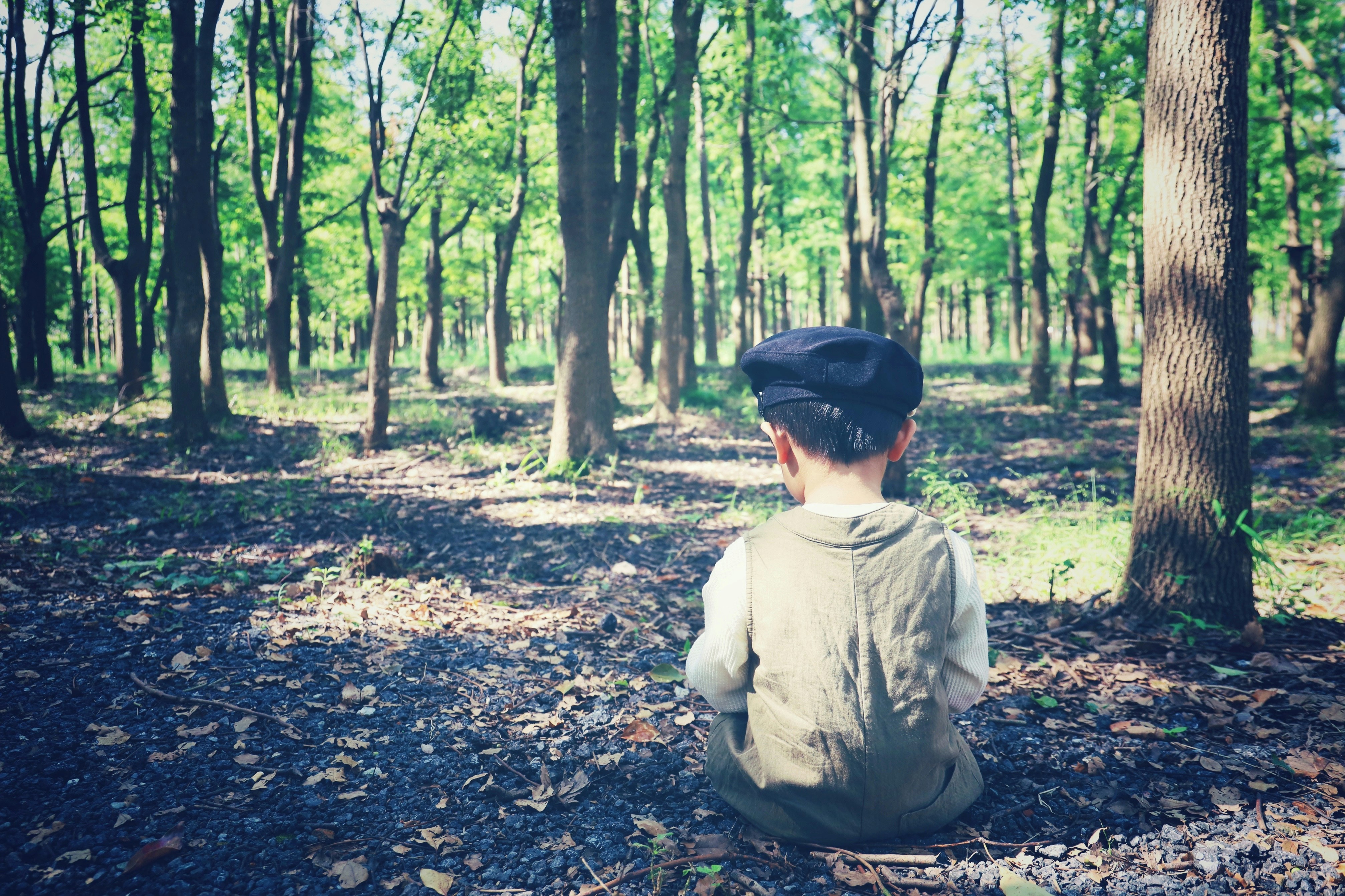 A young child in a cap sits quietly on the forest floor, surrounded by tall trees and dappled sunlight filtering through the leaves.