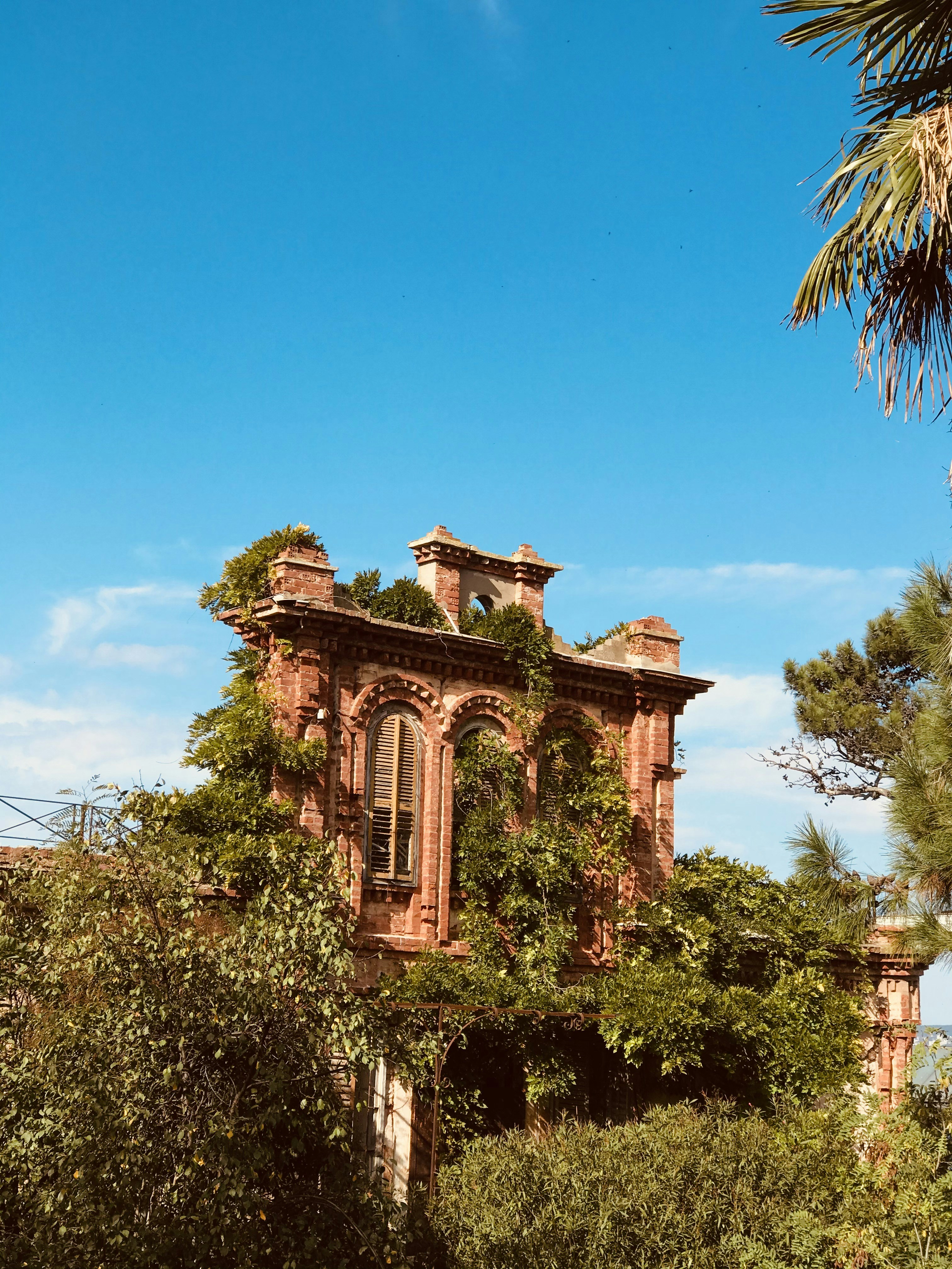 Overgrown brick structure entwined with lush greenery under a bright blue sky. The remnants of architecture tell a story of time and nature's reclamation.
