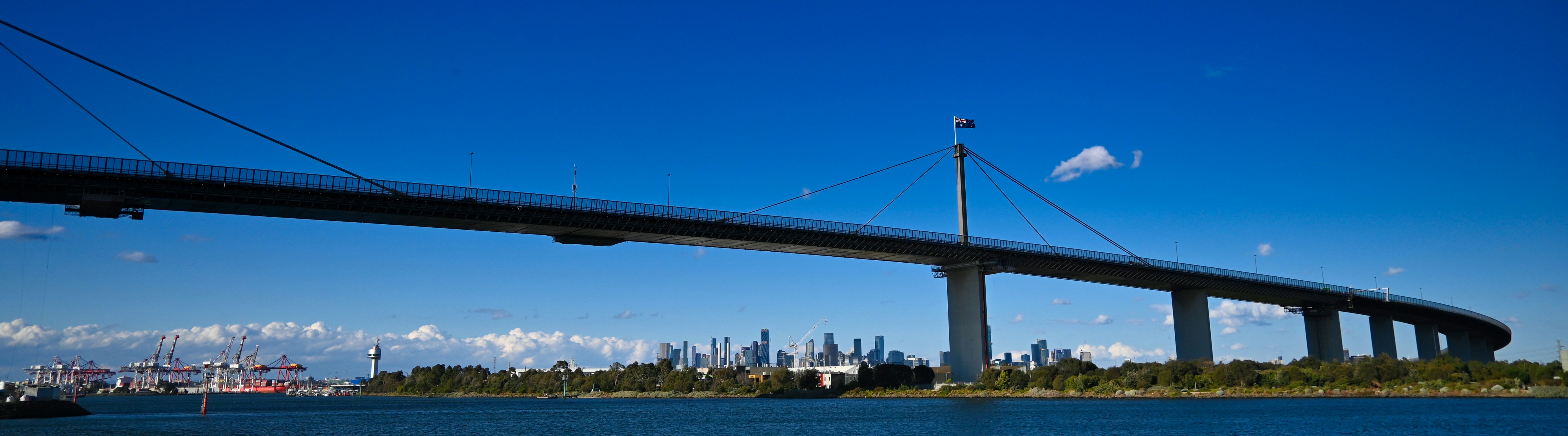 A sweeping view of a modern bridge arching over tranquil waters, with a city skyline in the background under a clear blue sky.