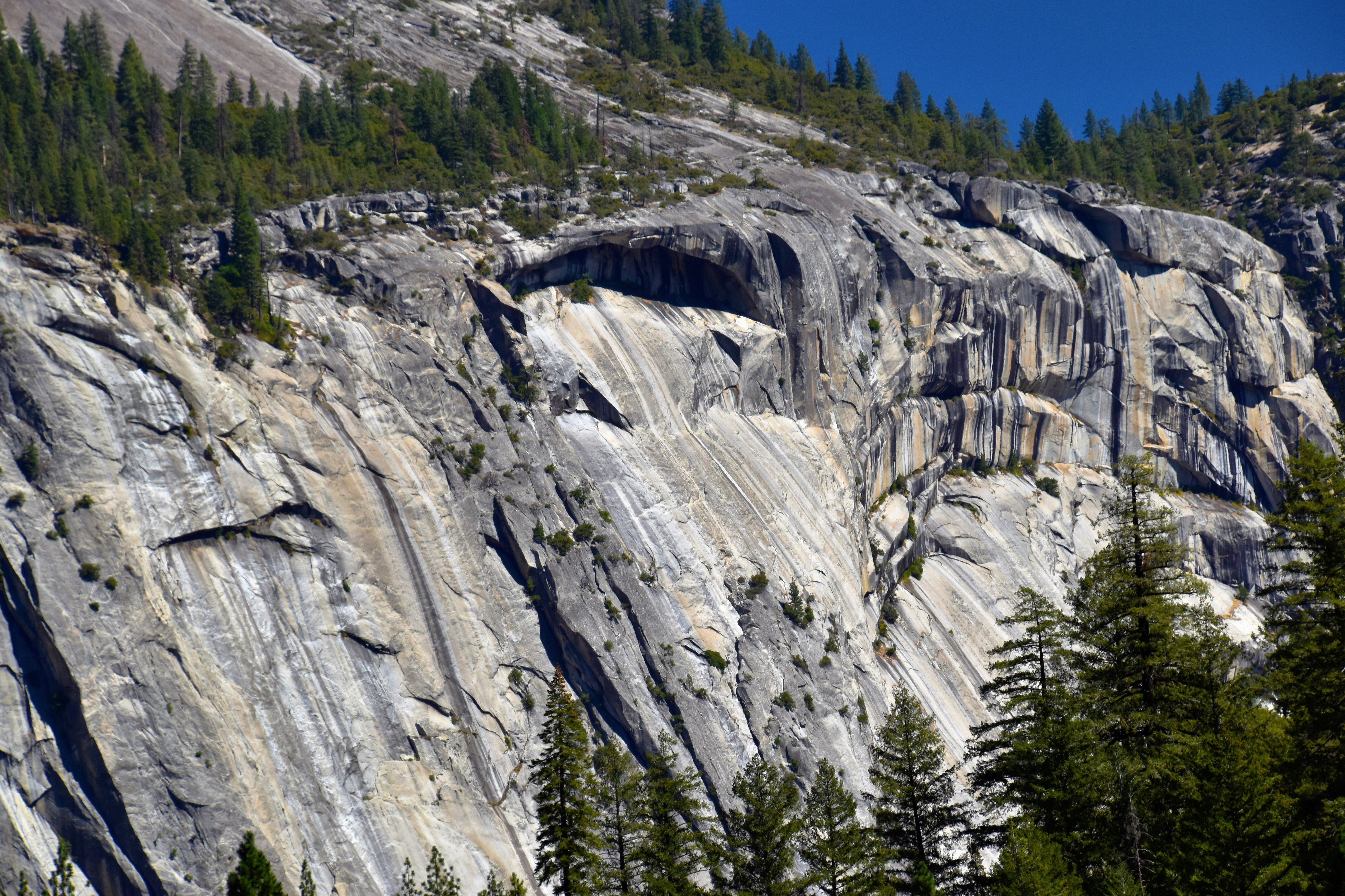 A large rock face in the middle of a forest photo – Free Yosemite ...
