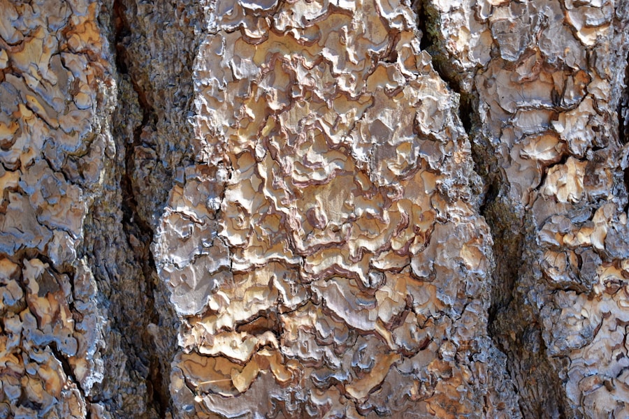 Dipylidium caninum: Simptomi, dijagnoza i efikasno liječenje ...