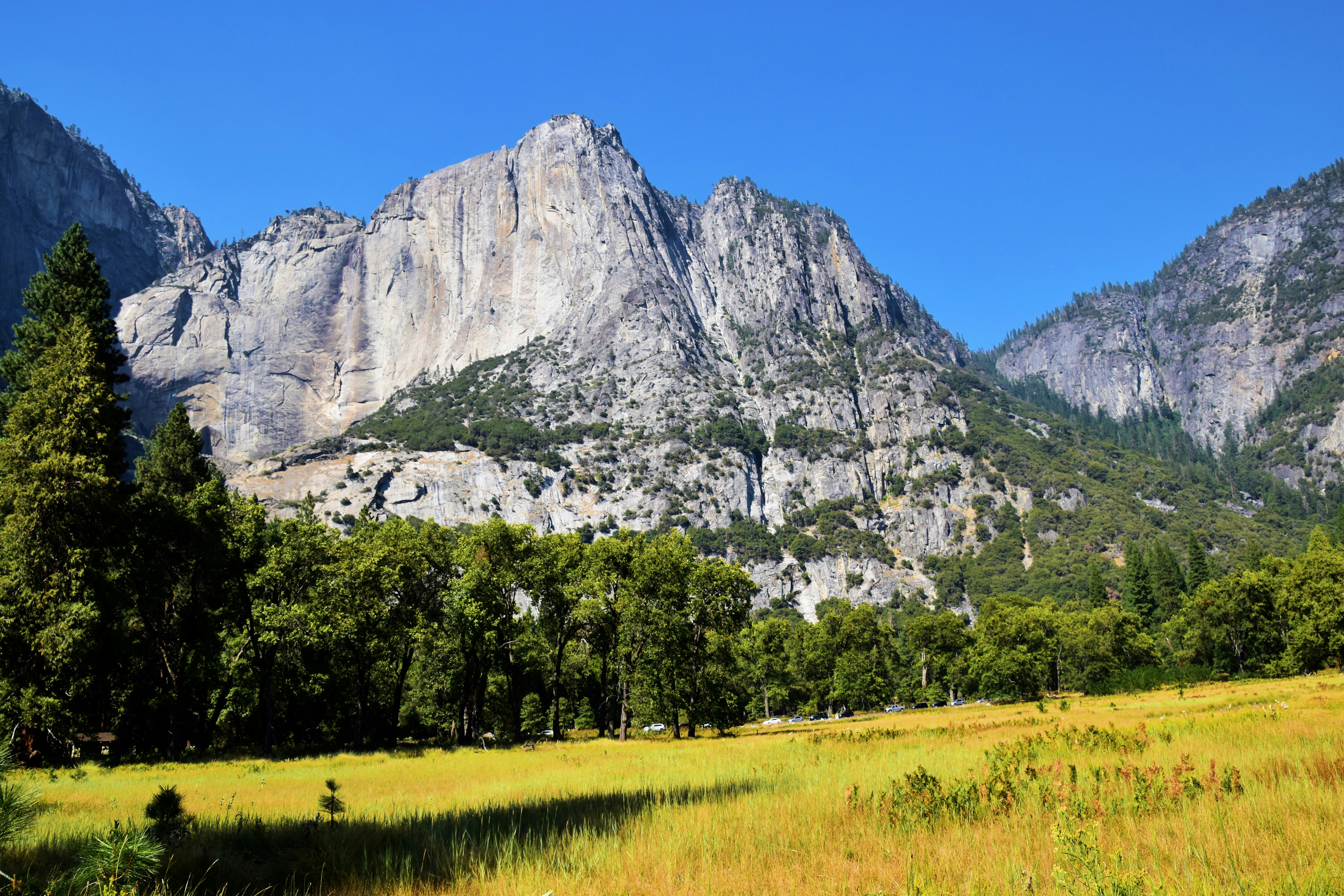 Majestic Granite Sentinel Beyond the Meadow