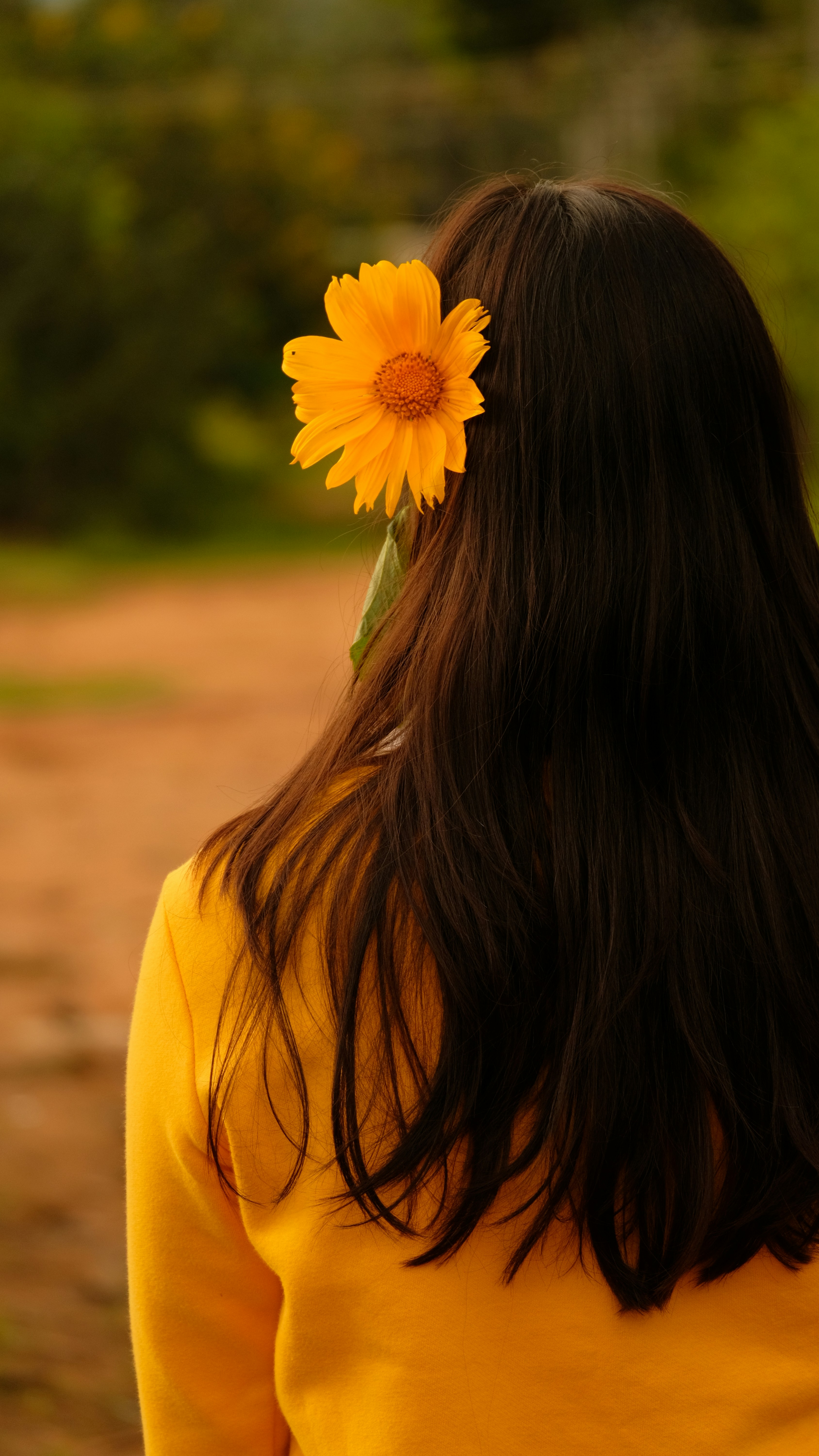 A woman with long dark hair adorned with a vibrant sunflower stands with her back to the viewer, surrounded by a lush, green landscape.