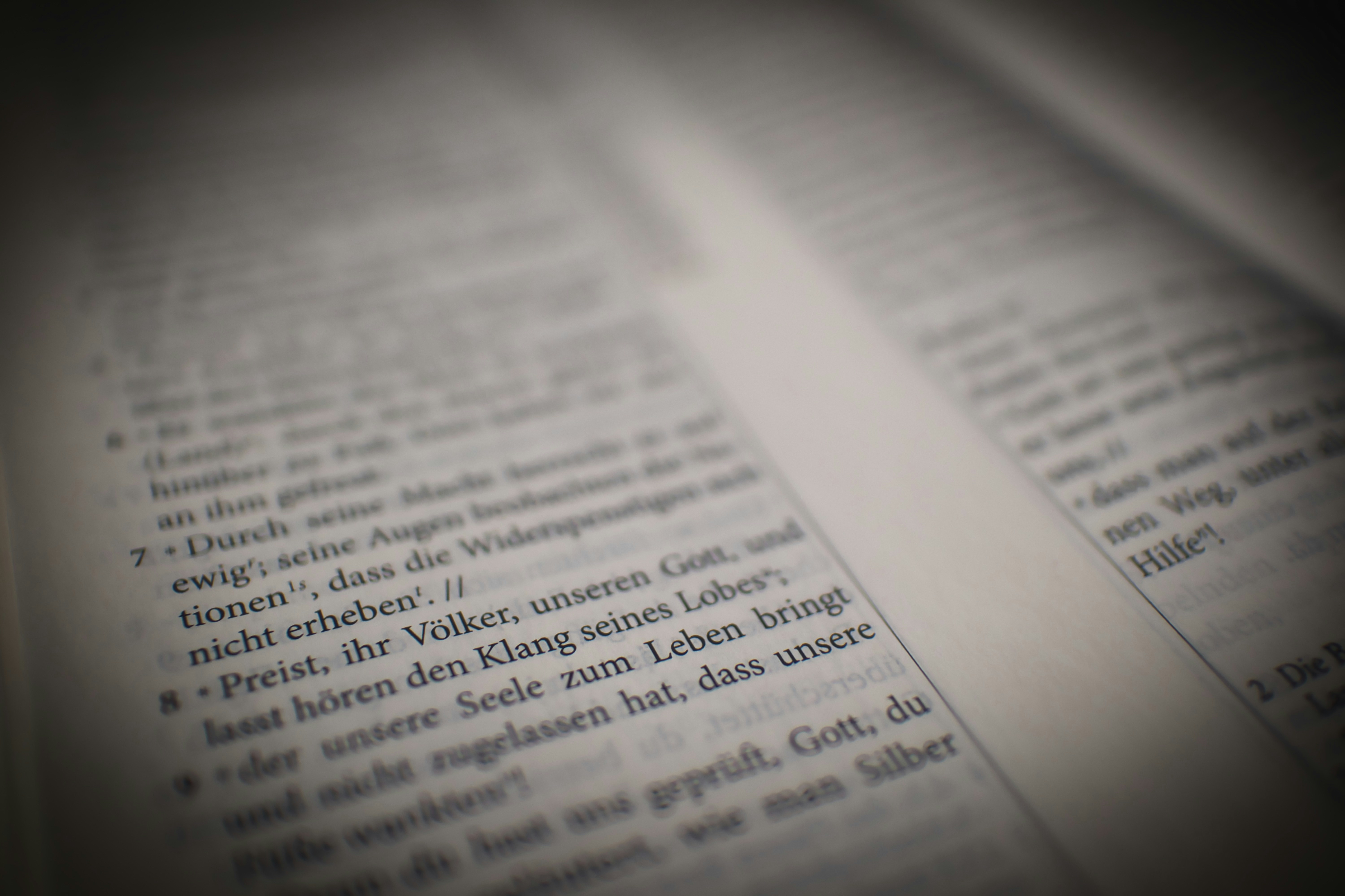A close up of a book with a blurry background photo – Free Bible verse ...