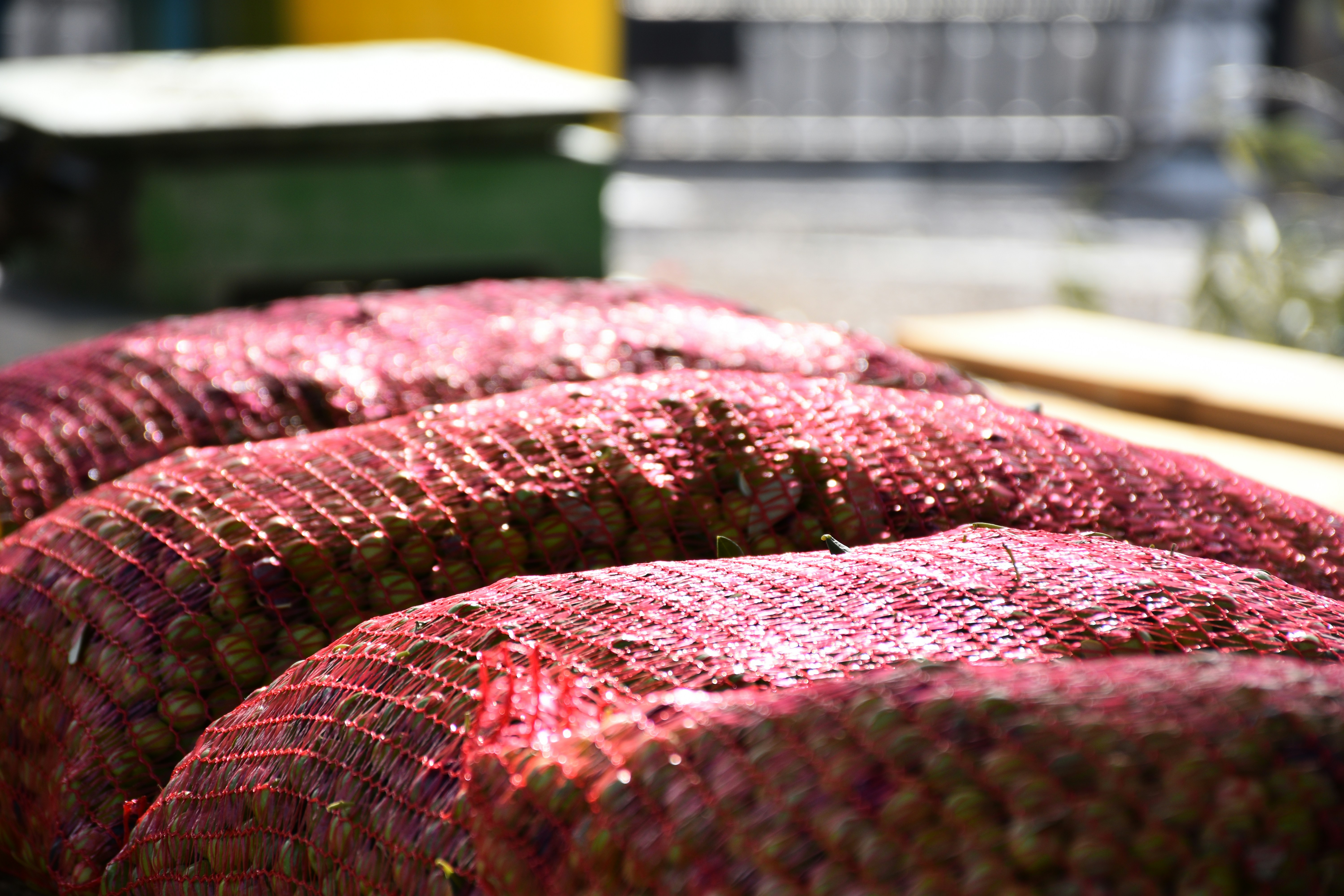 Netted Crimson Loaves: Sunlit Blocks of Market-Ready Meat
