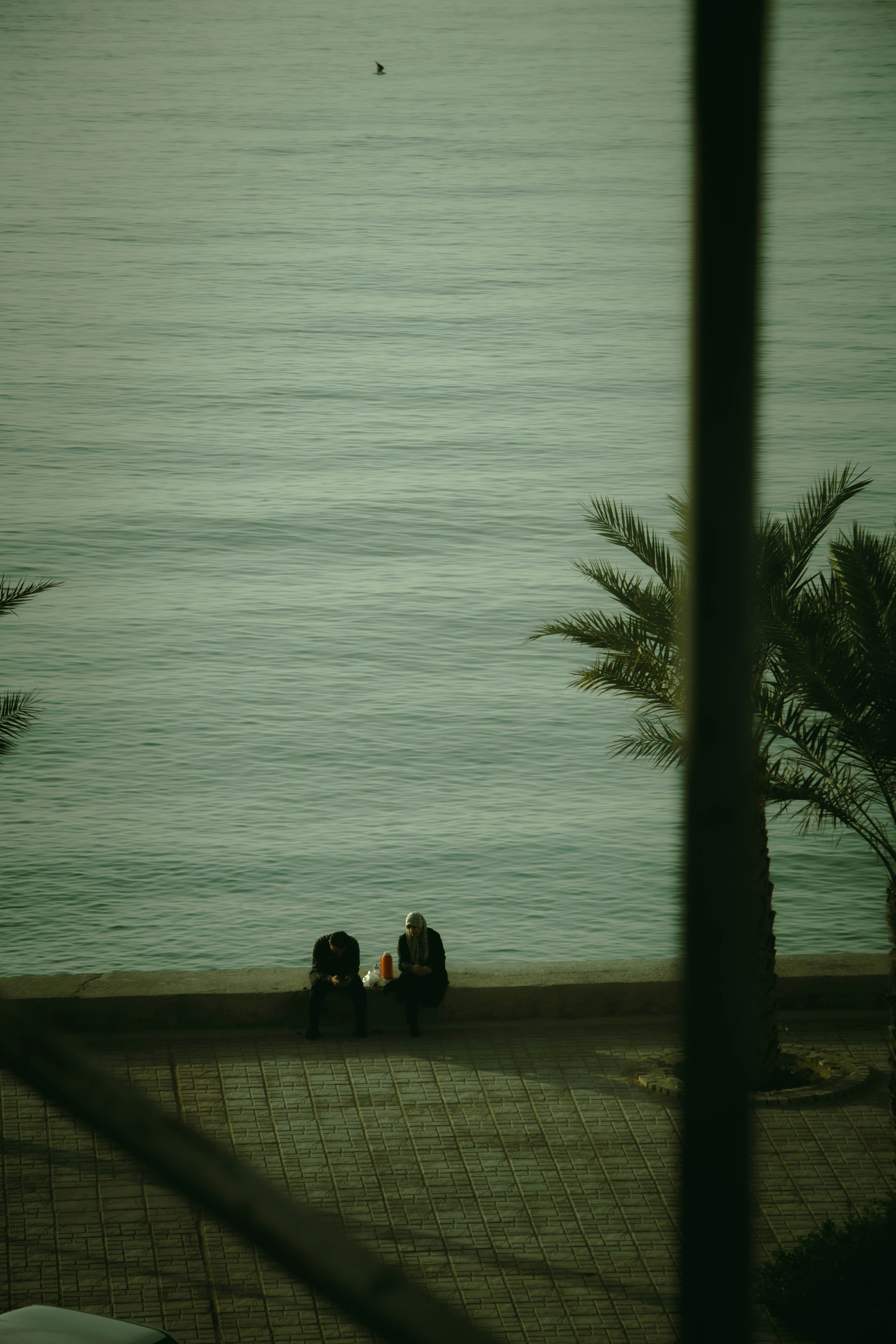 two people sitting on a bench near the ocean