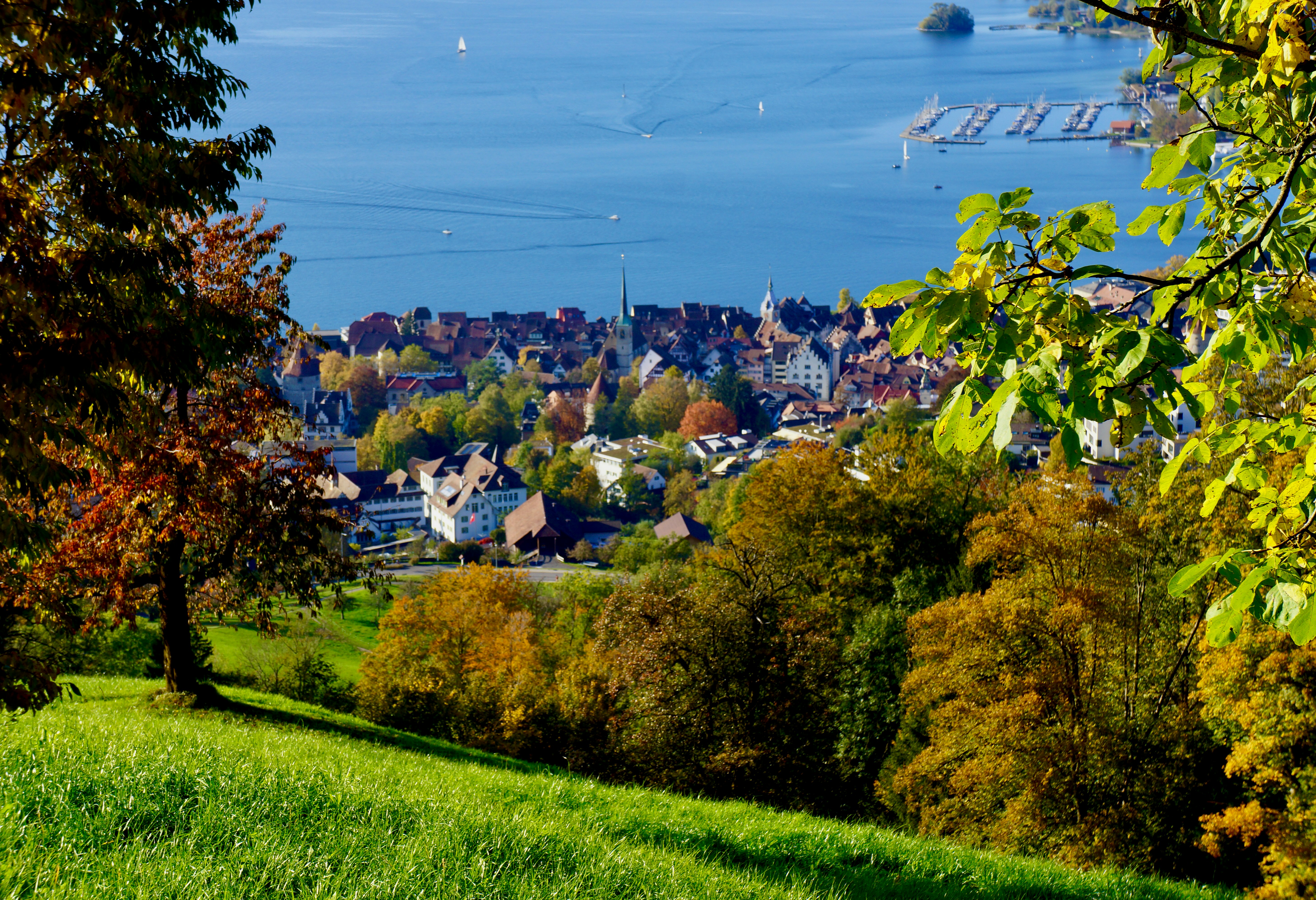 Autumn Hills Overlook: A Colorful Harbor Town Nestled by a Bright Blue Bay