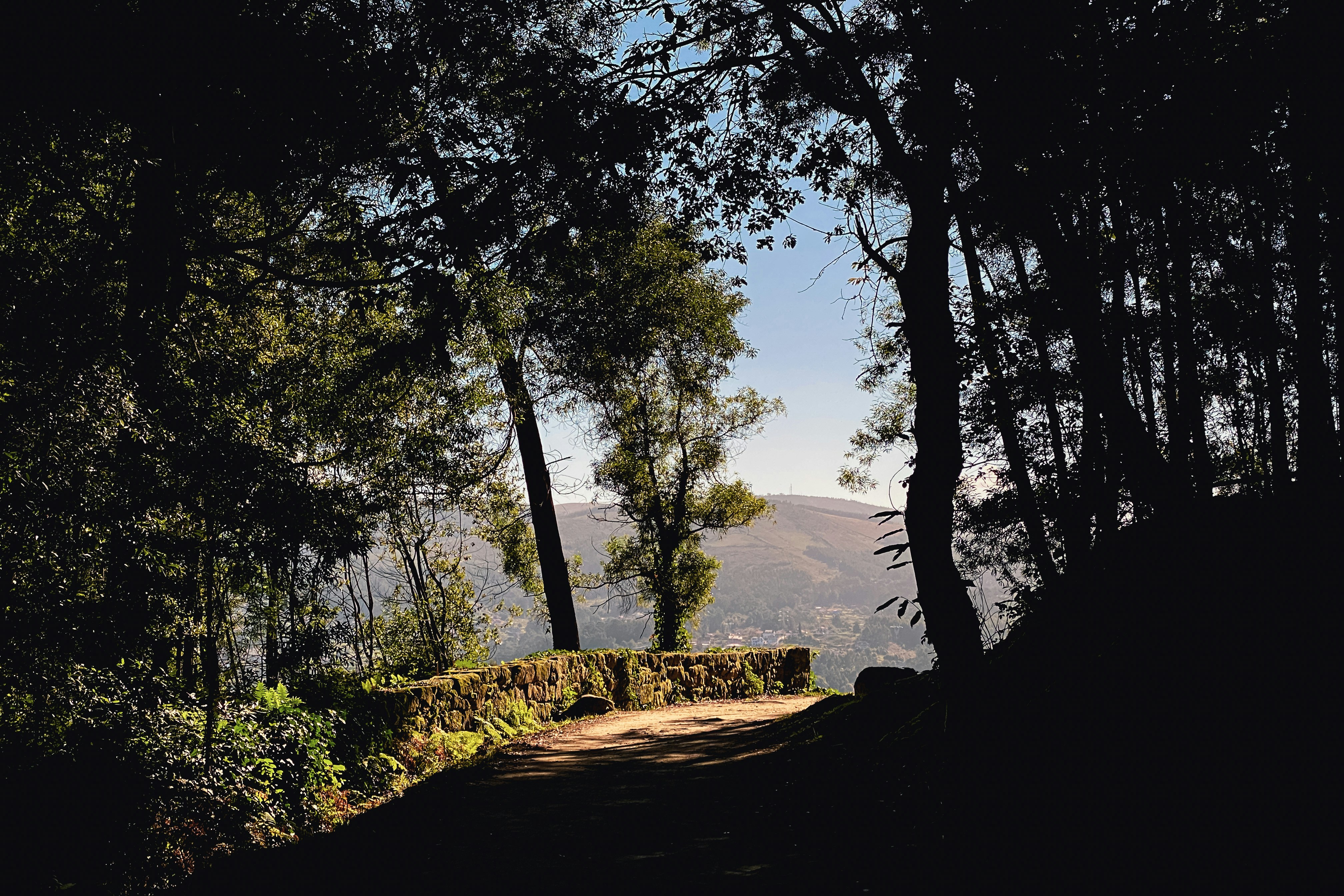 Dappled Path Toward the Valley Horizon