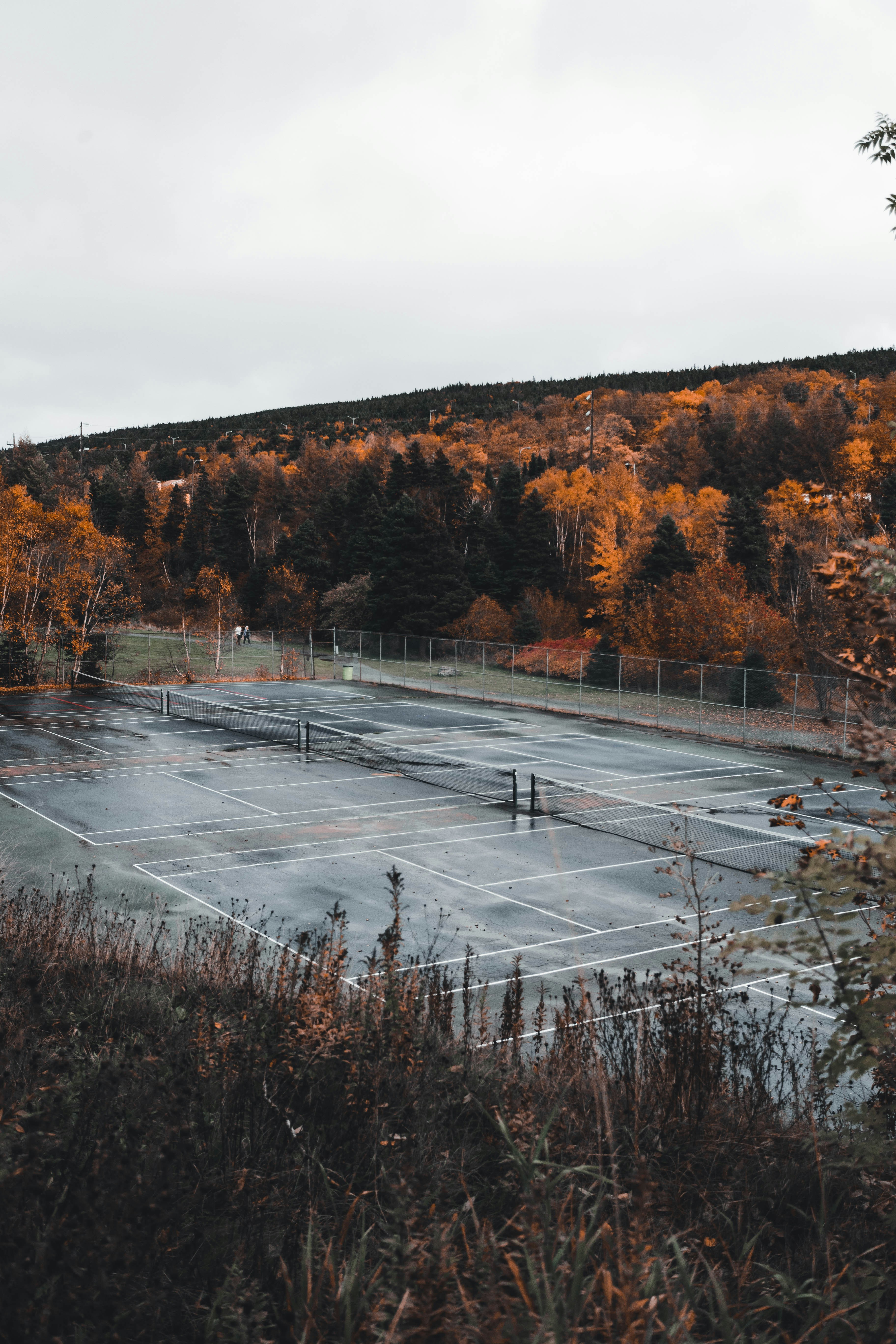 a tennis court surrounded by trees and bushes