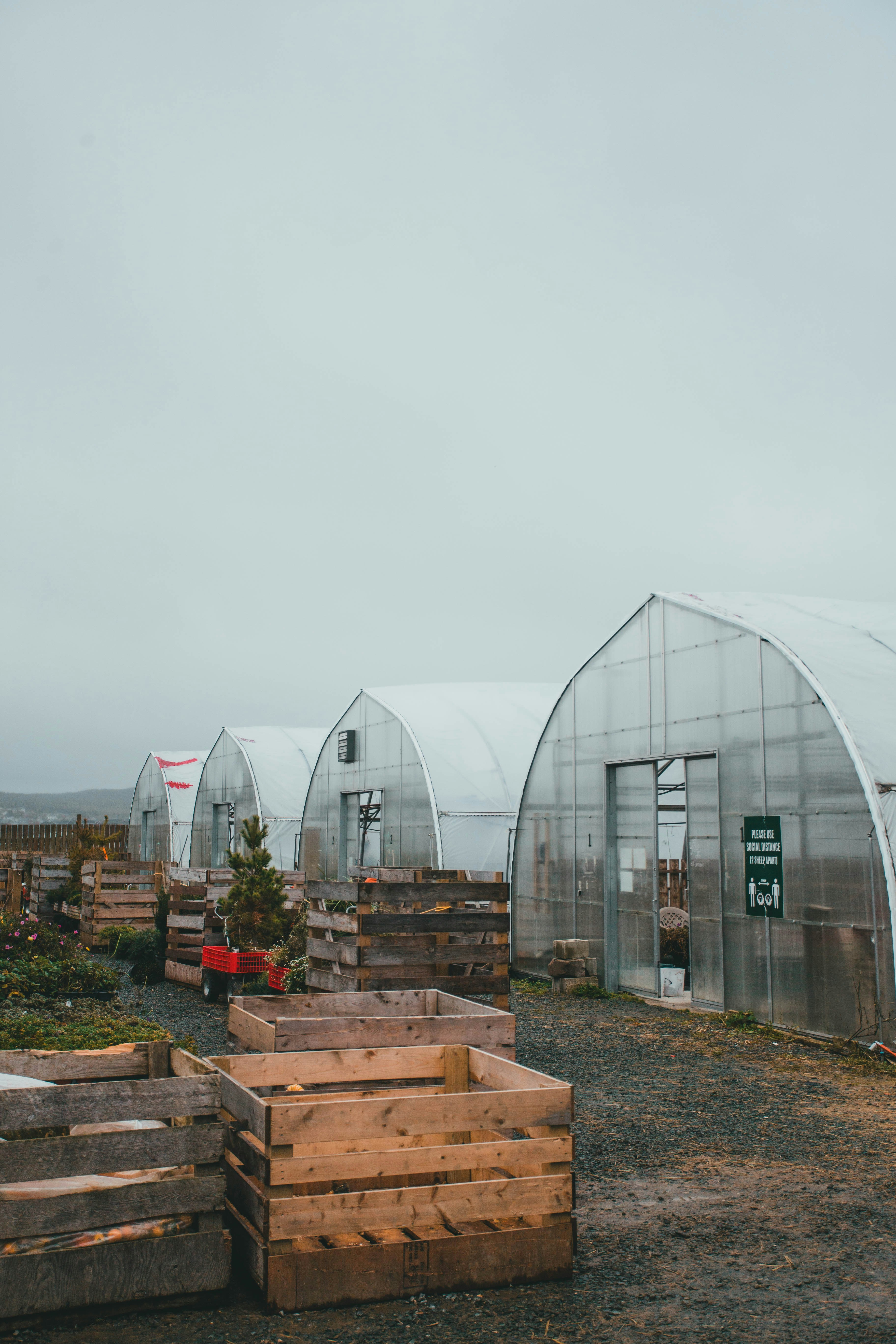 Glass Tunnels Under Quiet Light: Greenhouses and Wooden Planters