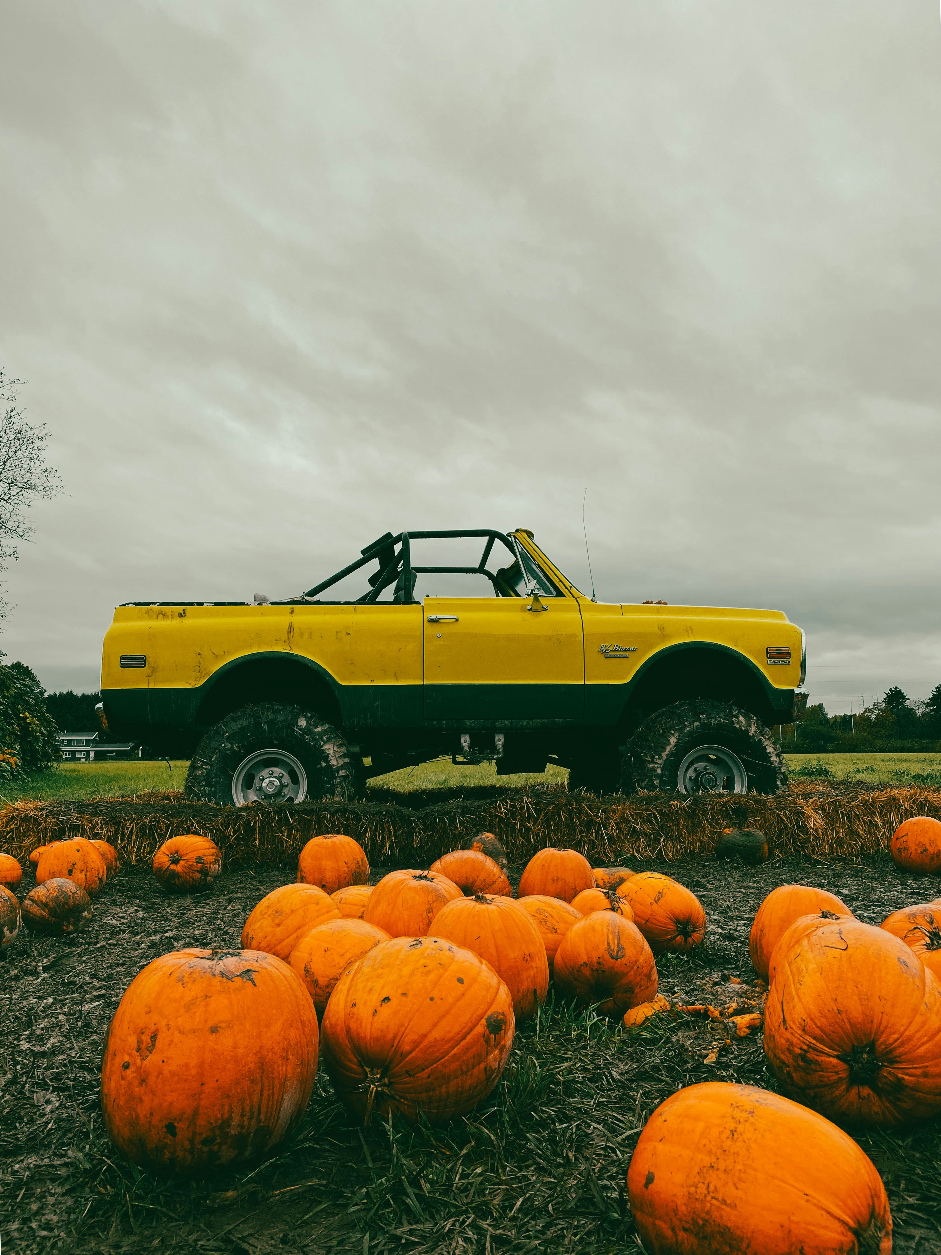 a yellow truck parked in a field full of pumpkins
