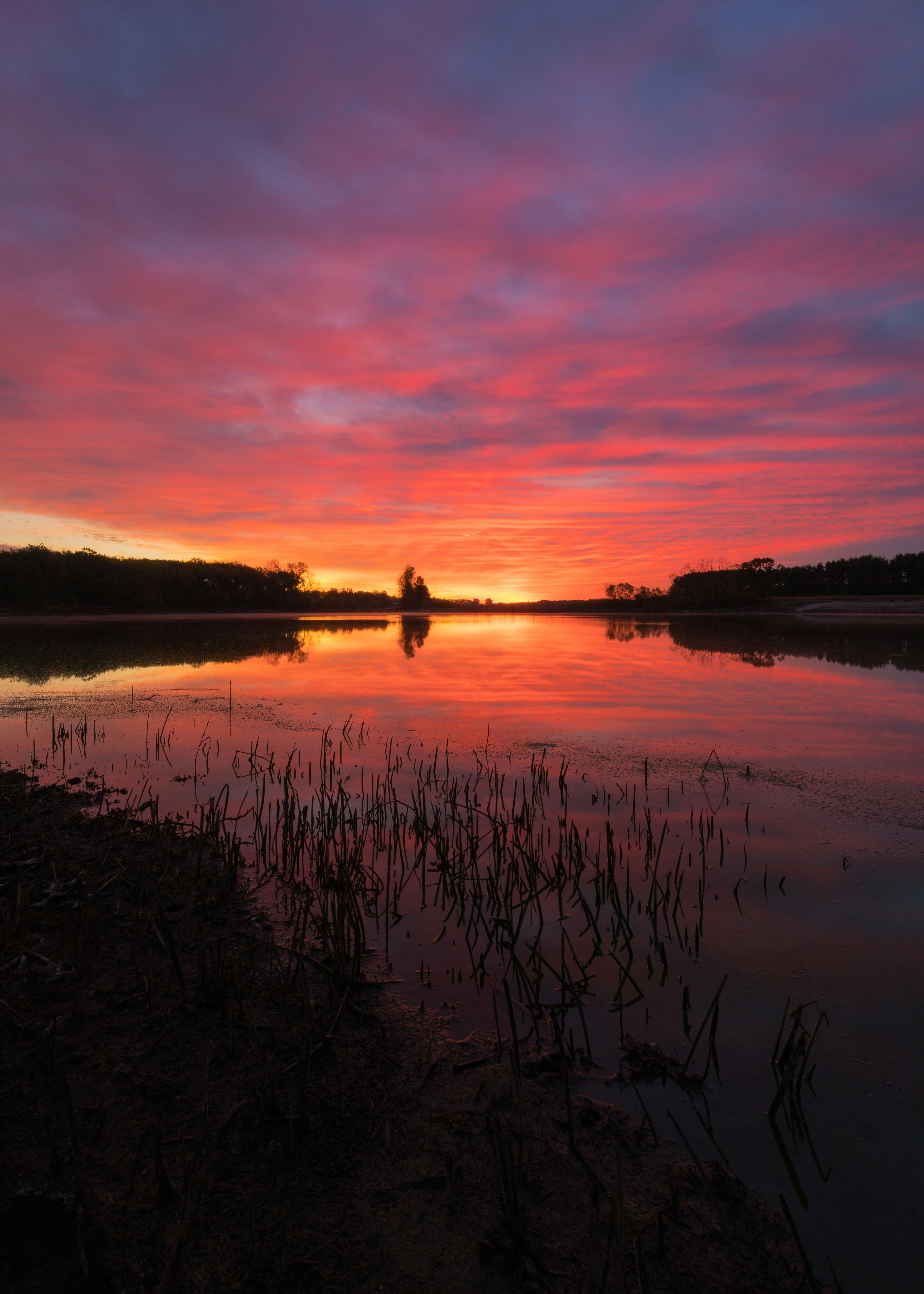It was a perfect sunrise to celebrate another year around the sun. The Trumpeter Swans provided the soundtrack.
