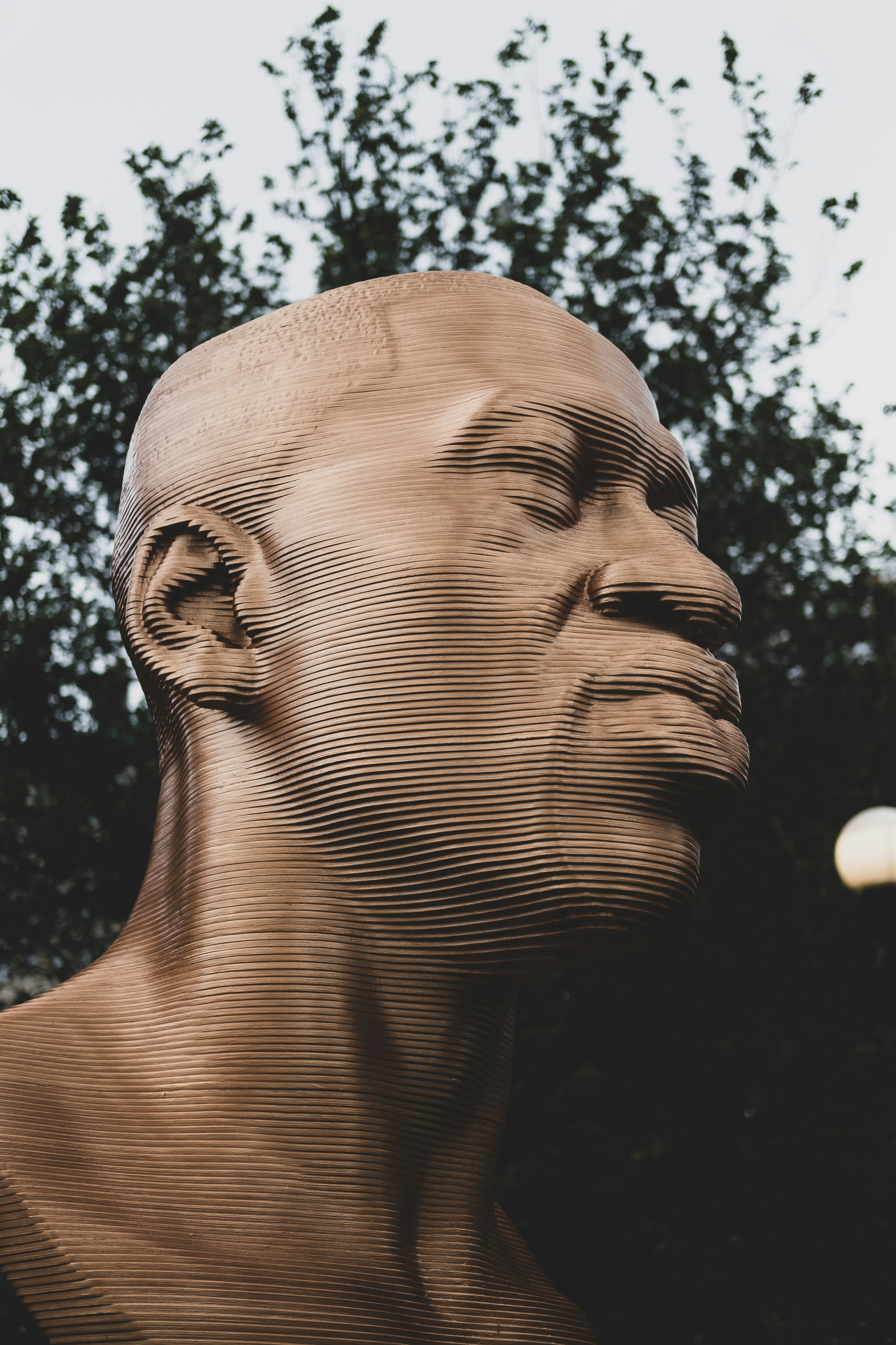 A sculpture of a man's head with trees in the background photo – Free ...